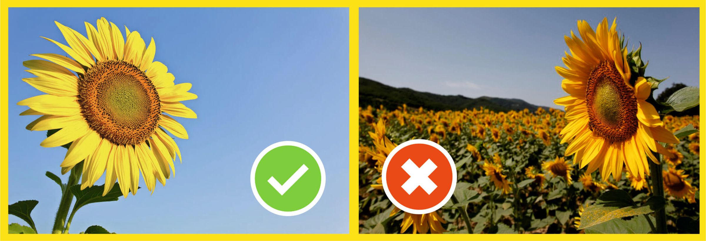 How to Convert 2D Images Into 3D Objects : 4 Steps - Instructables