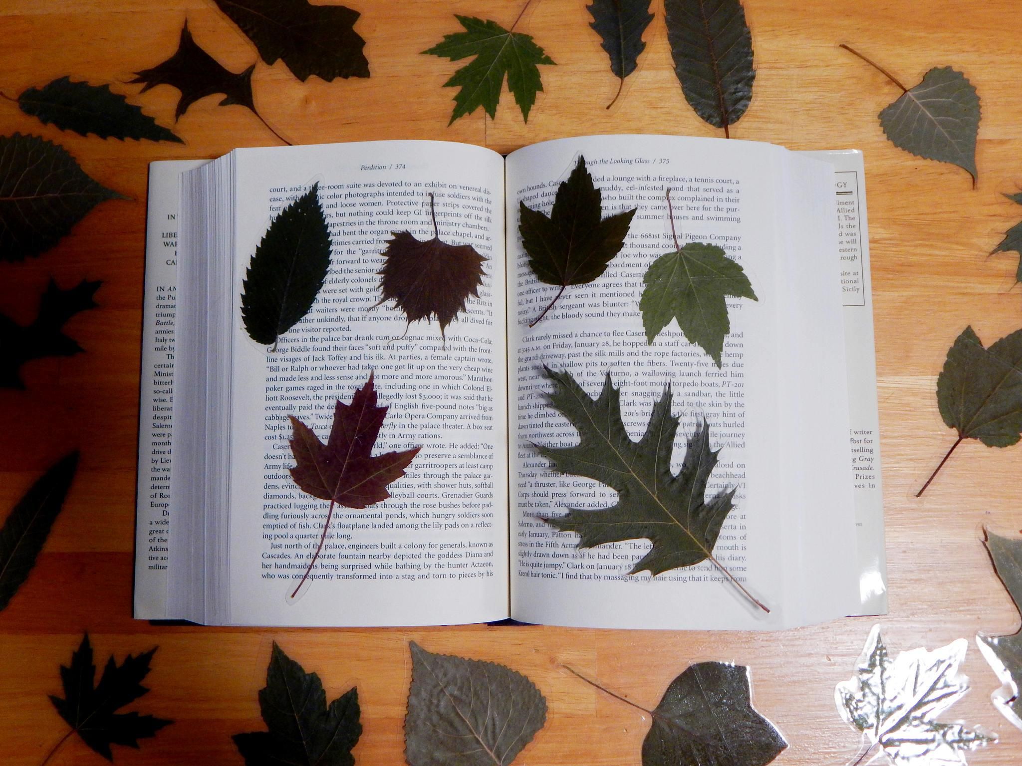 DIY Laminated Leaf Bookmarks : 4 Steps (with Pictures) - Instructables