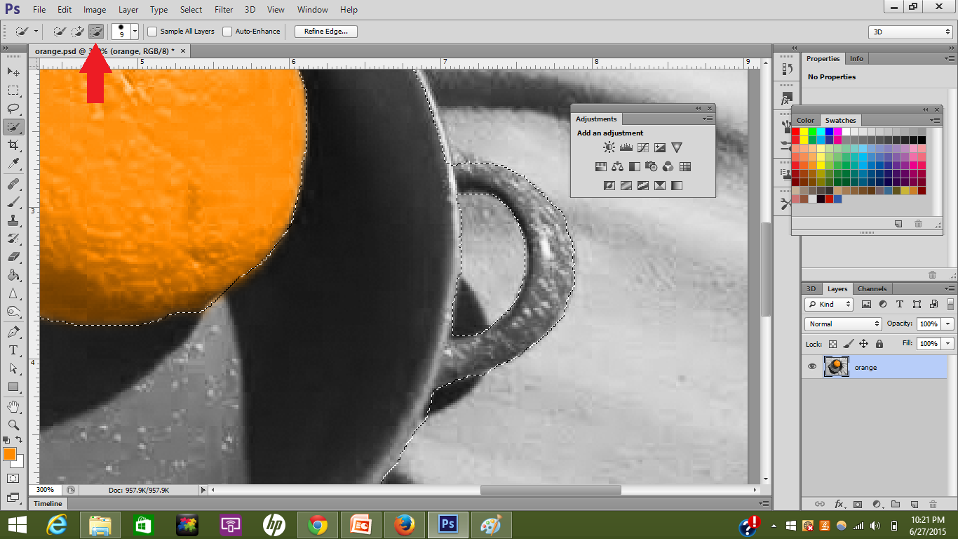 How to Colorize a Black and White Photo With Adobe Photoshop CS6 : 21 ...