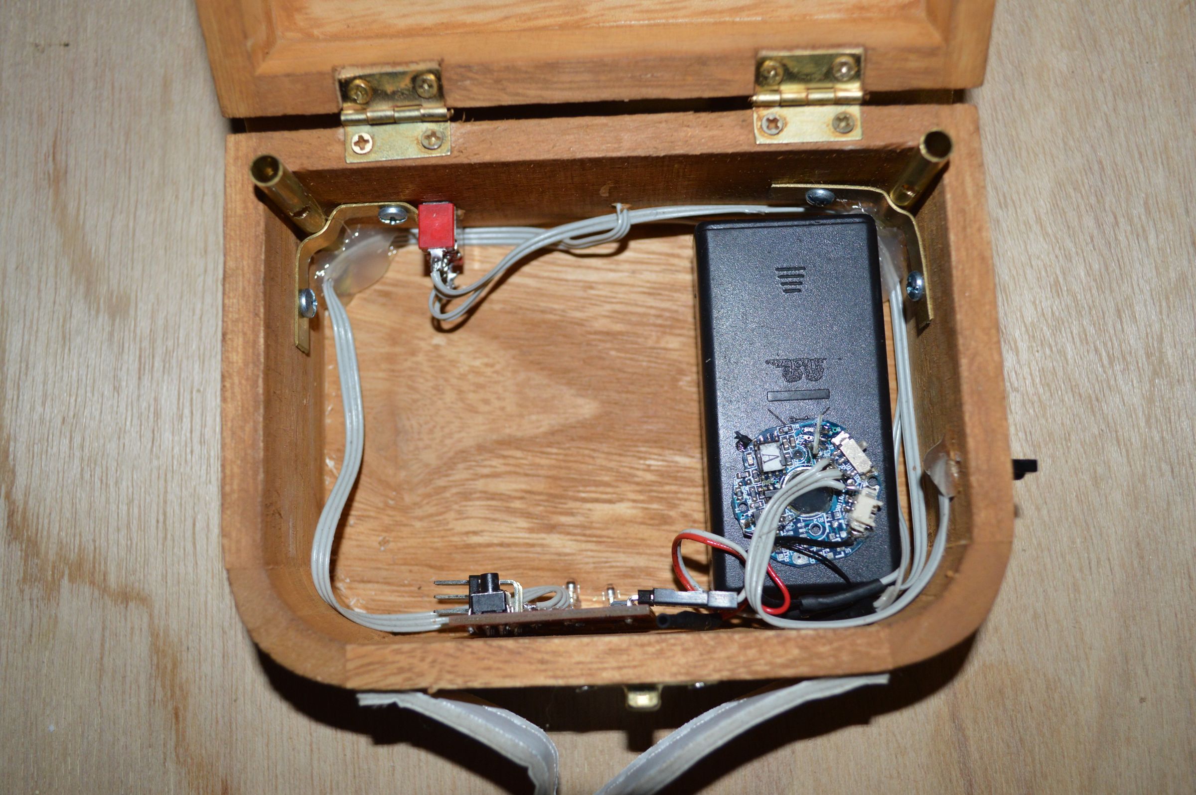 Make Your Own Flea Circus : 15 Steps (with Pictures) - Instructables