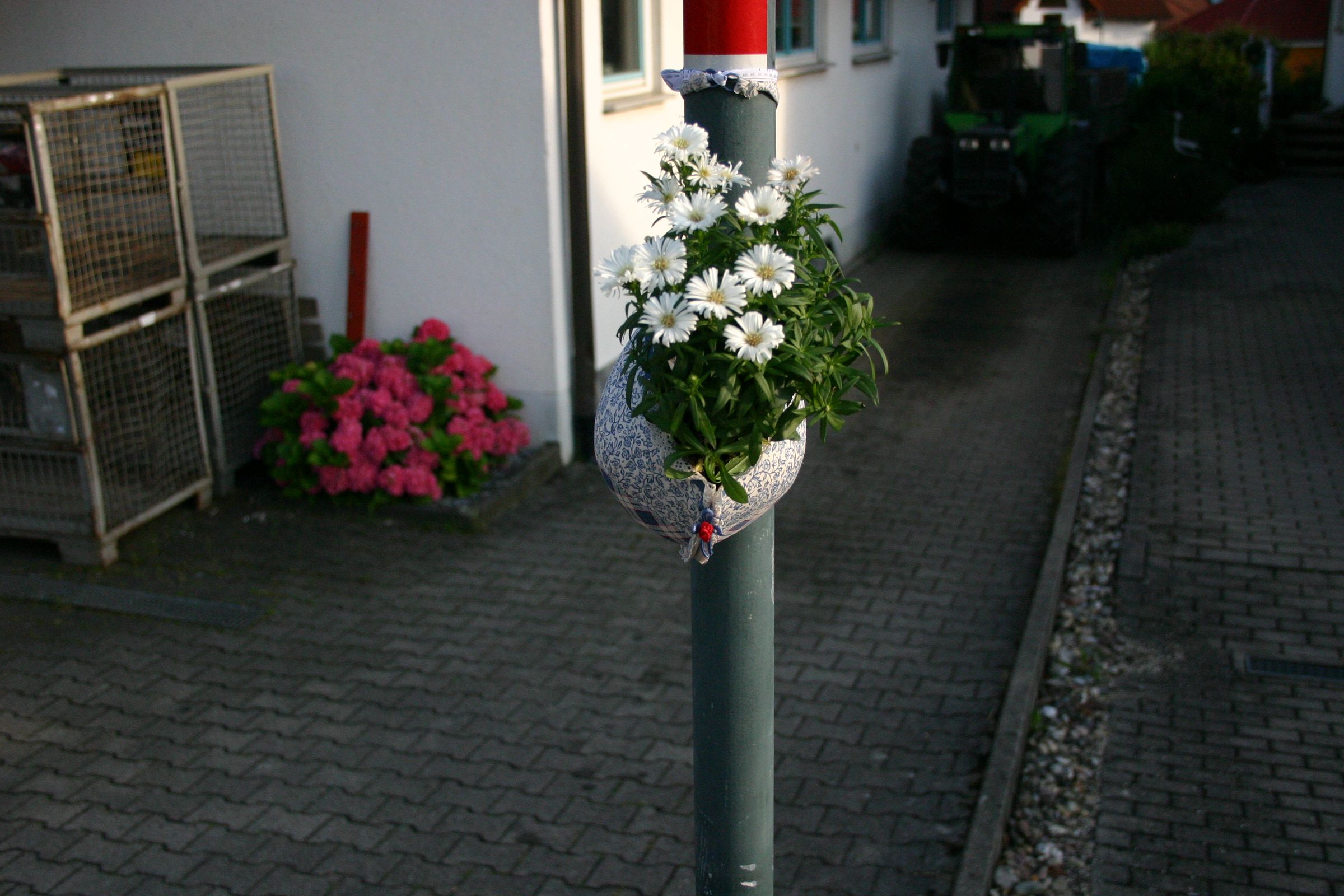 Guerilla Gardening With a Bra : 6 Steps (with Pictures) - Instructables