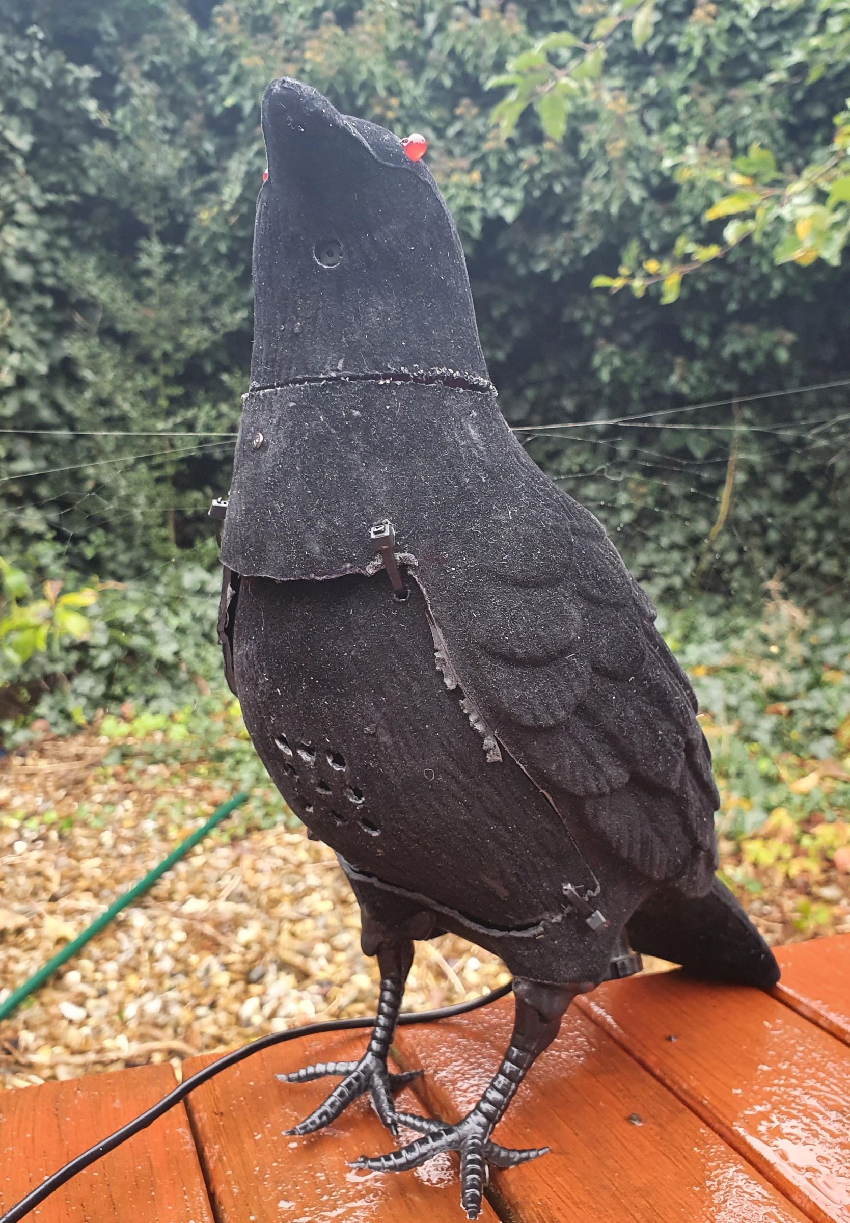 Raven Pi Security Camera : 7 Steps (with Pictures) - Instructables