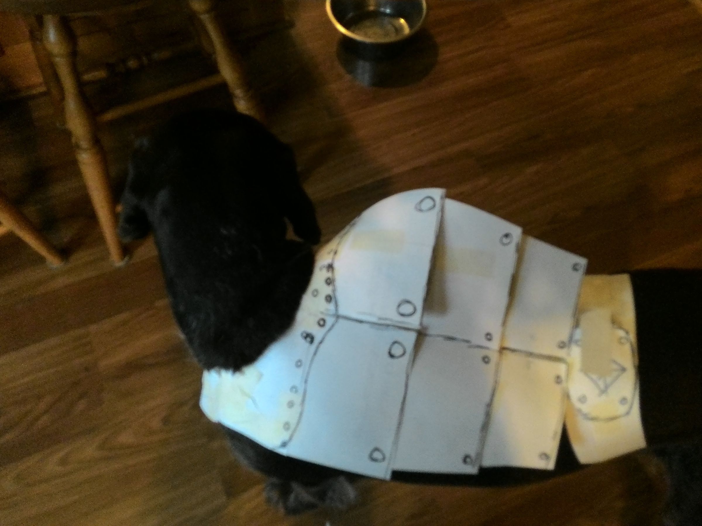 Dog Armor : 6 Steps (with Pictures) - Instructables