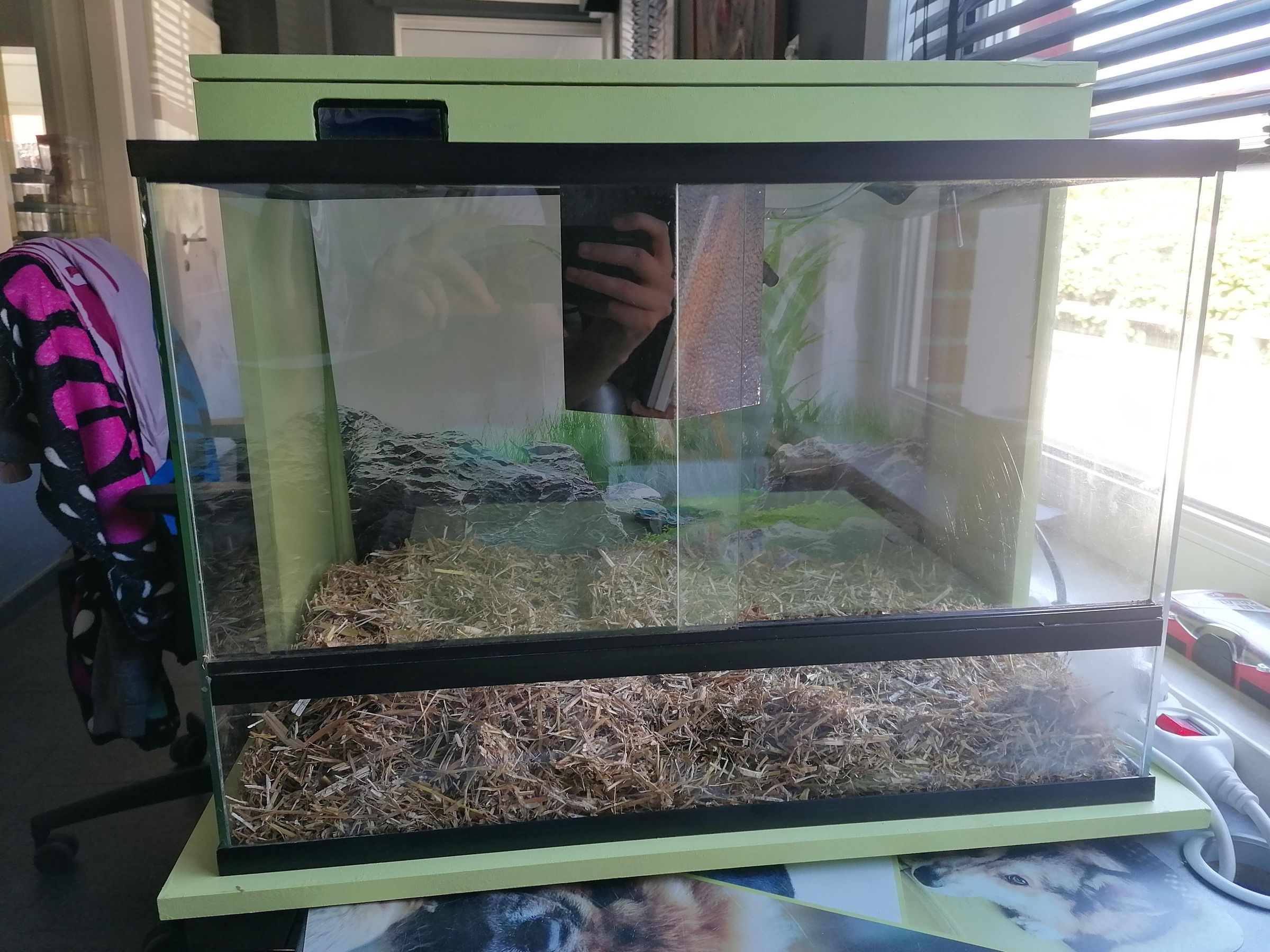 Smart Terrarium With Raspberry Pi : 11 Steps - Instructables