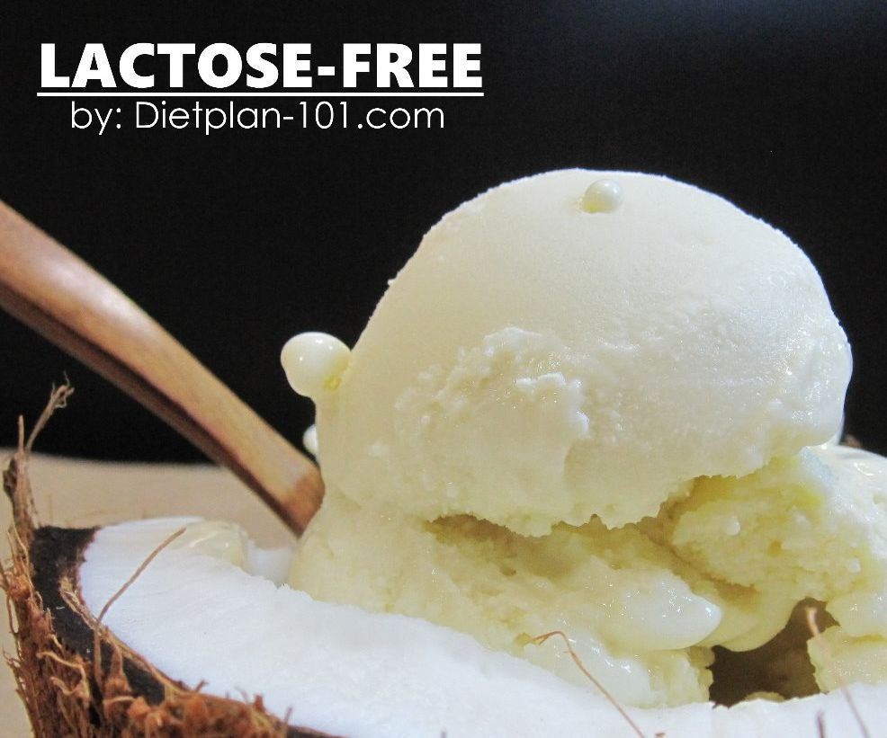Make Dairy-Free Ice-Cream With Coconut Milk : 7 Steps (with Pictures ...