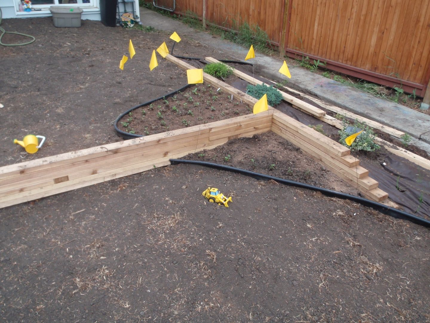 Restore a Backyard With Dead Soil (Before and After) : 9 Steps (with ...