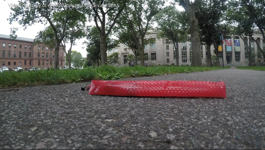 Bioinspired Robotic Snake : 16 Steps (with Pictures) - Instructables