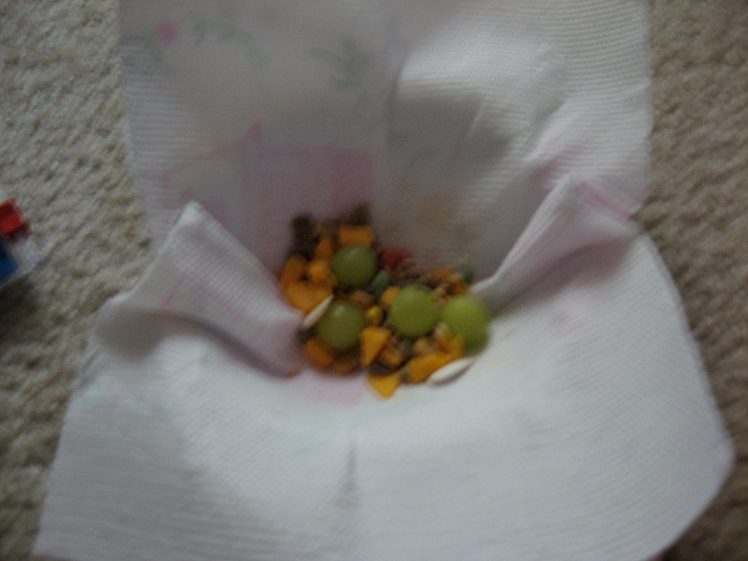 A Better "Rat Pinata" : 4 Steps (with Pictures) - Instructables