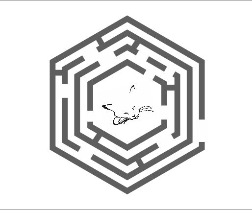 Cat Labyrinth : 3 Steps - Instructables