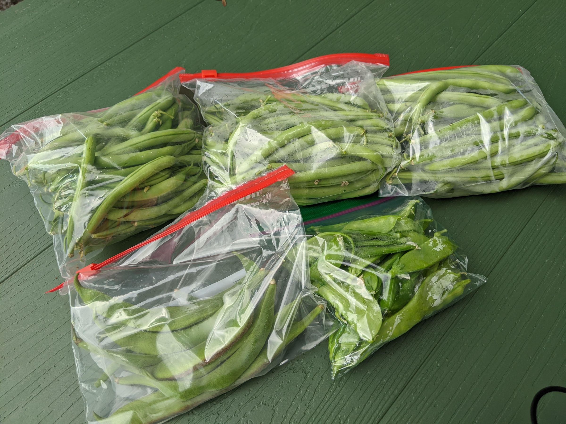 DIY: Transforming My Front Yard From Grass to a Vegetable Garden : 8 ...