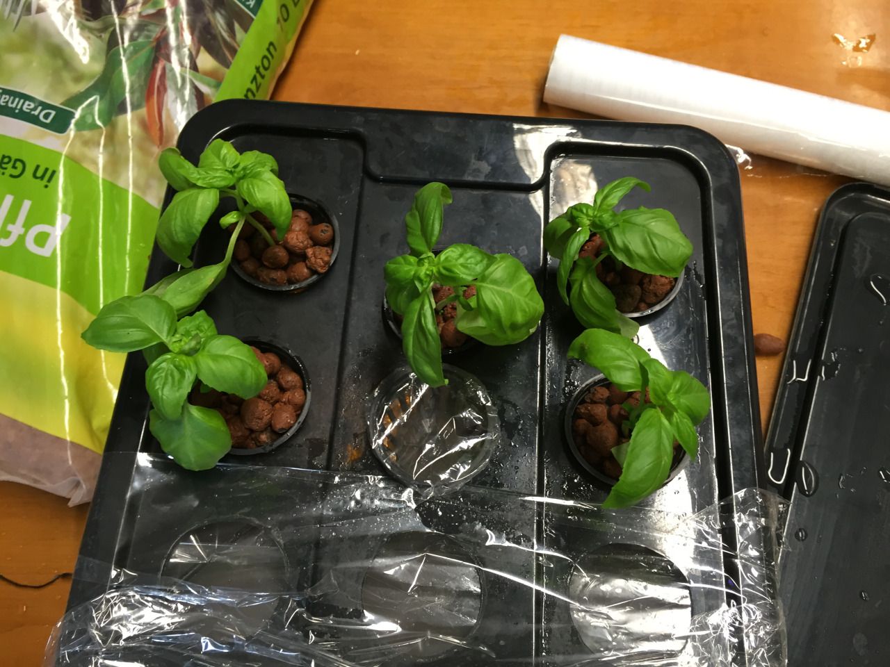 Fogponic Garden (Hydroponics With Fog) : 5 Steps (with Pictures ...