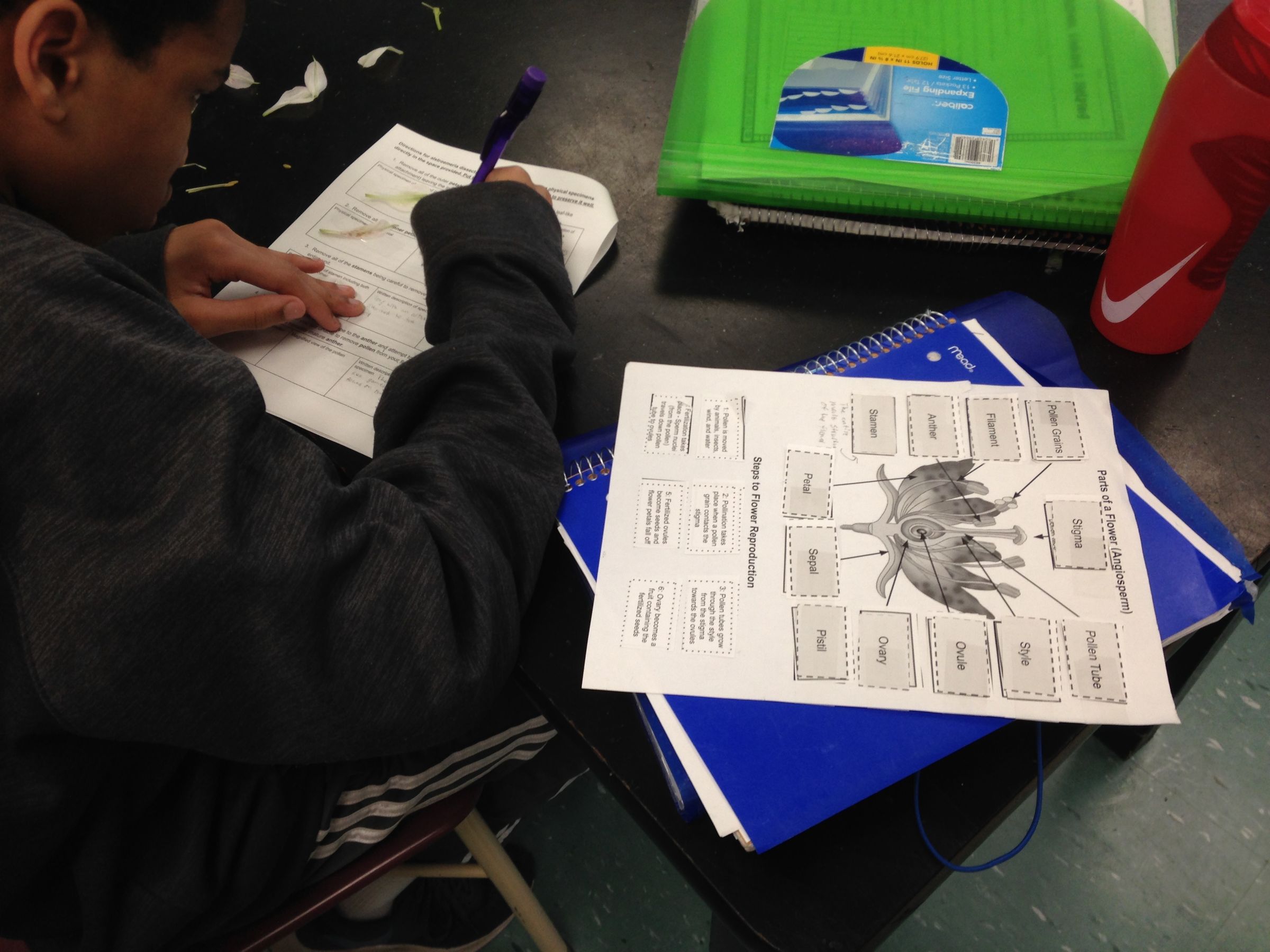 Flower Flip-Flap Activity : 4 Steps - Instructables