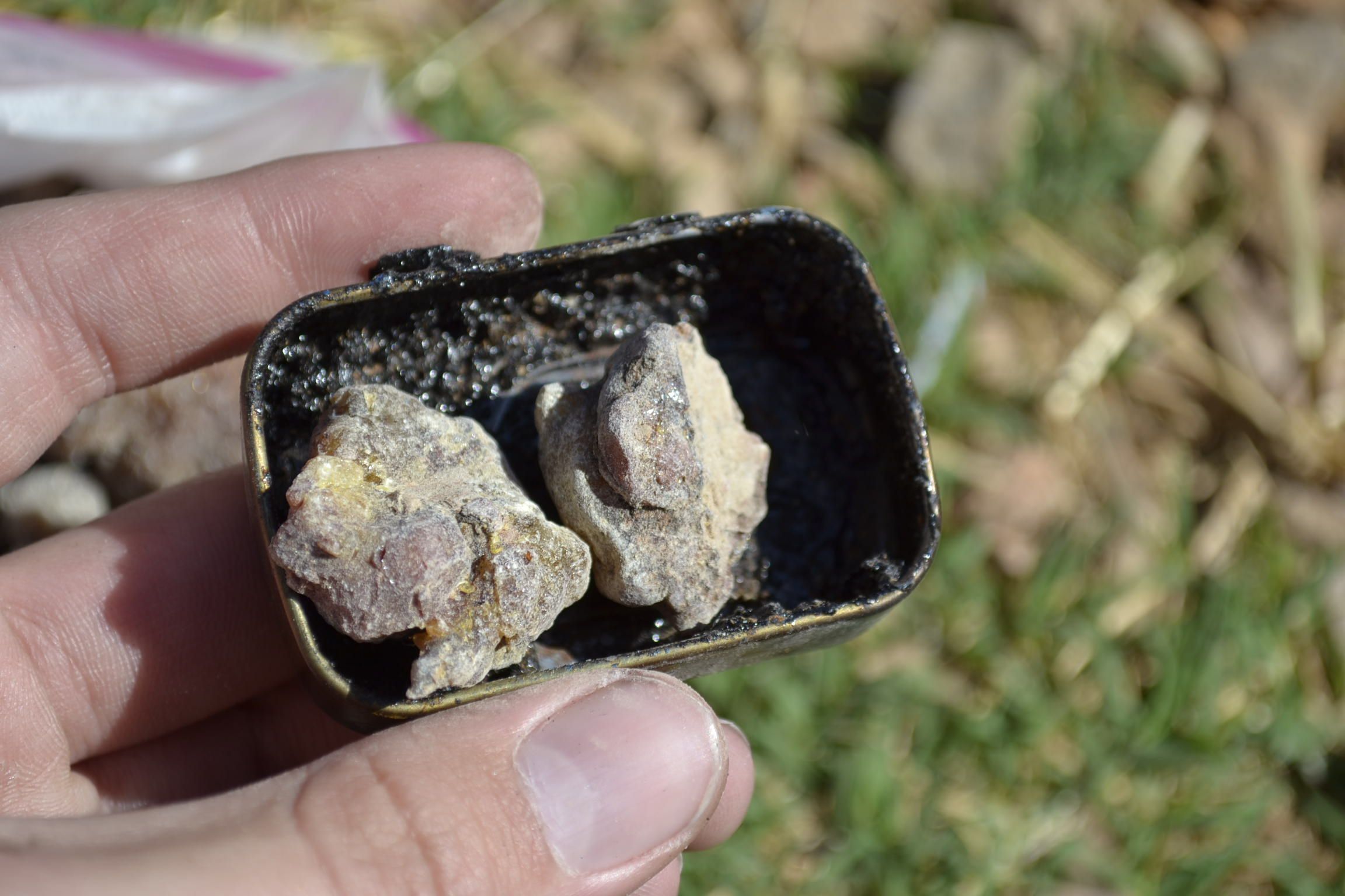 Survival Pine Tar: Pitchsticks, Fire Starter, Super Glue!! : 7 Steps ...