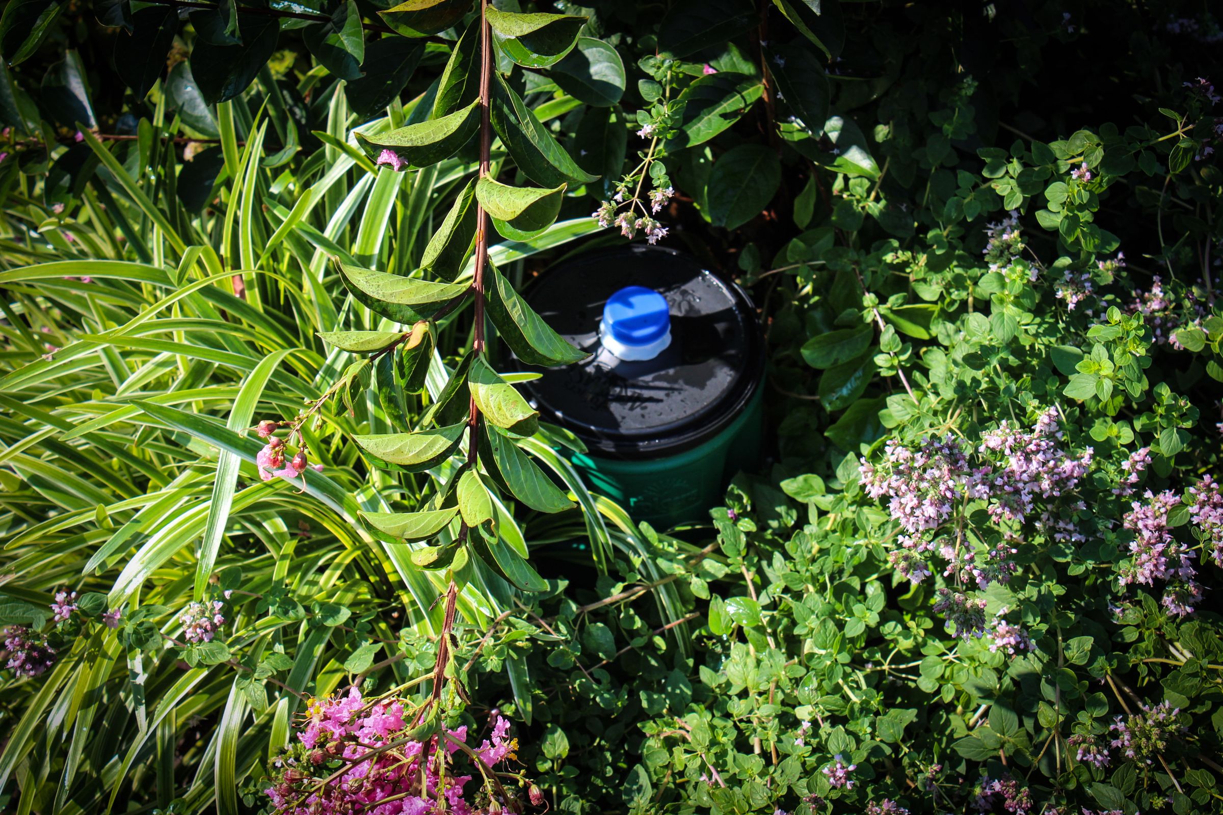 Coffee Container Slow Drip Watering : 9 Steps (with Pictures ...