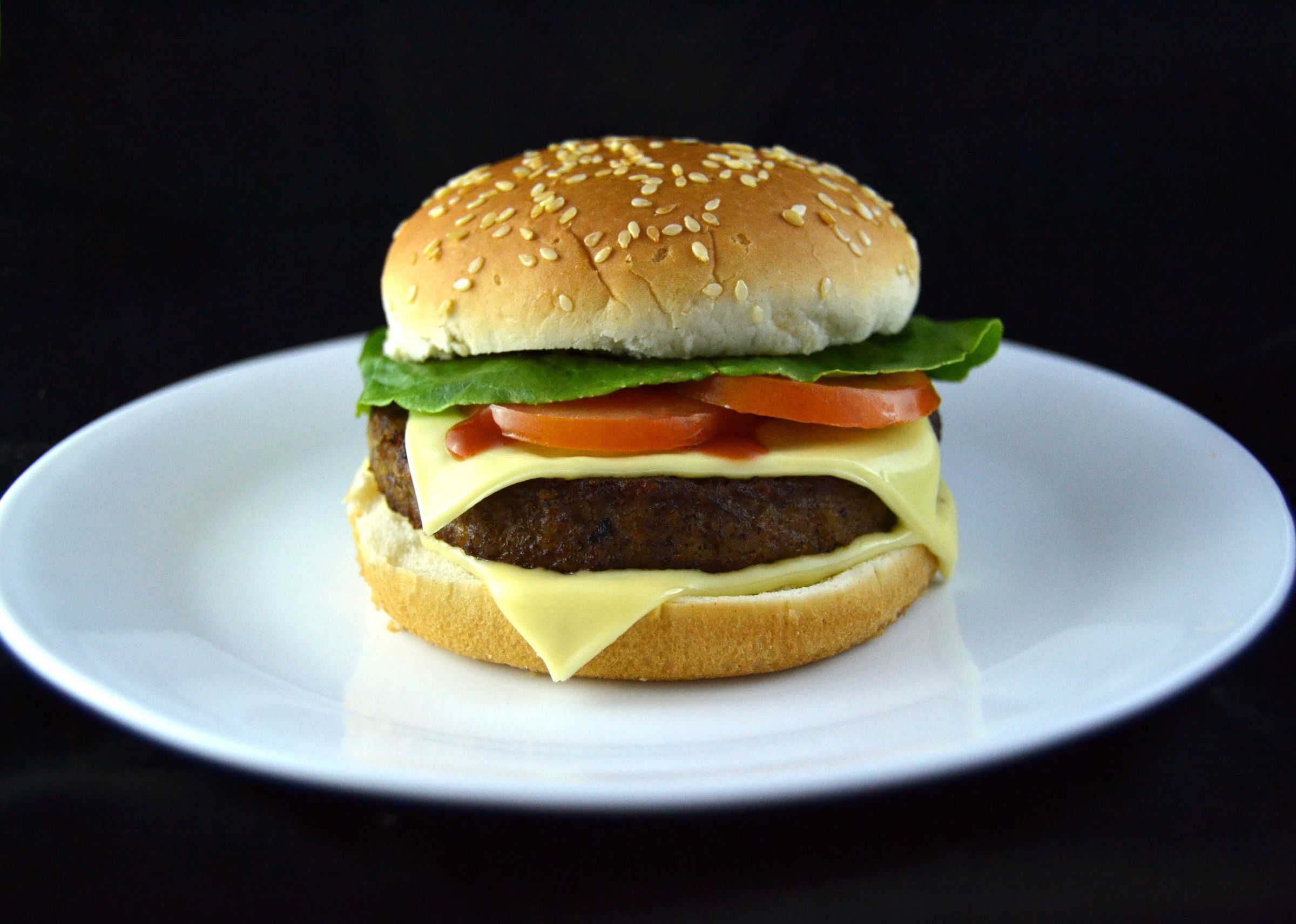 The Perfect Burger Photo : 9 Steps (with Pictures) - Instructables