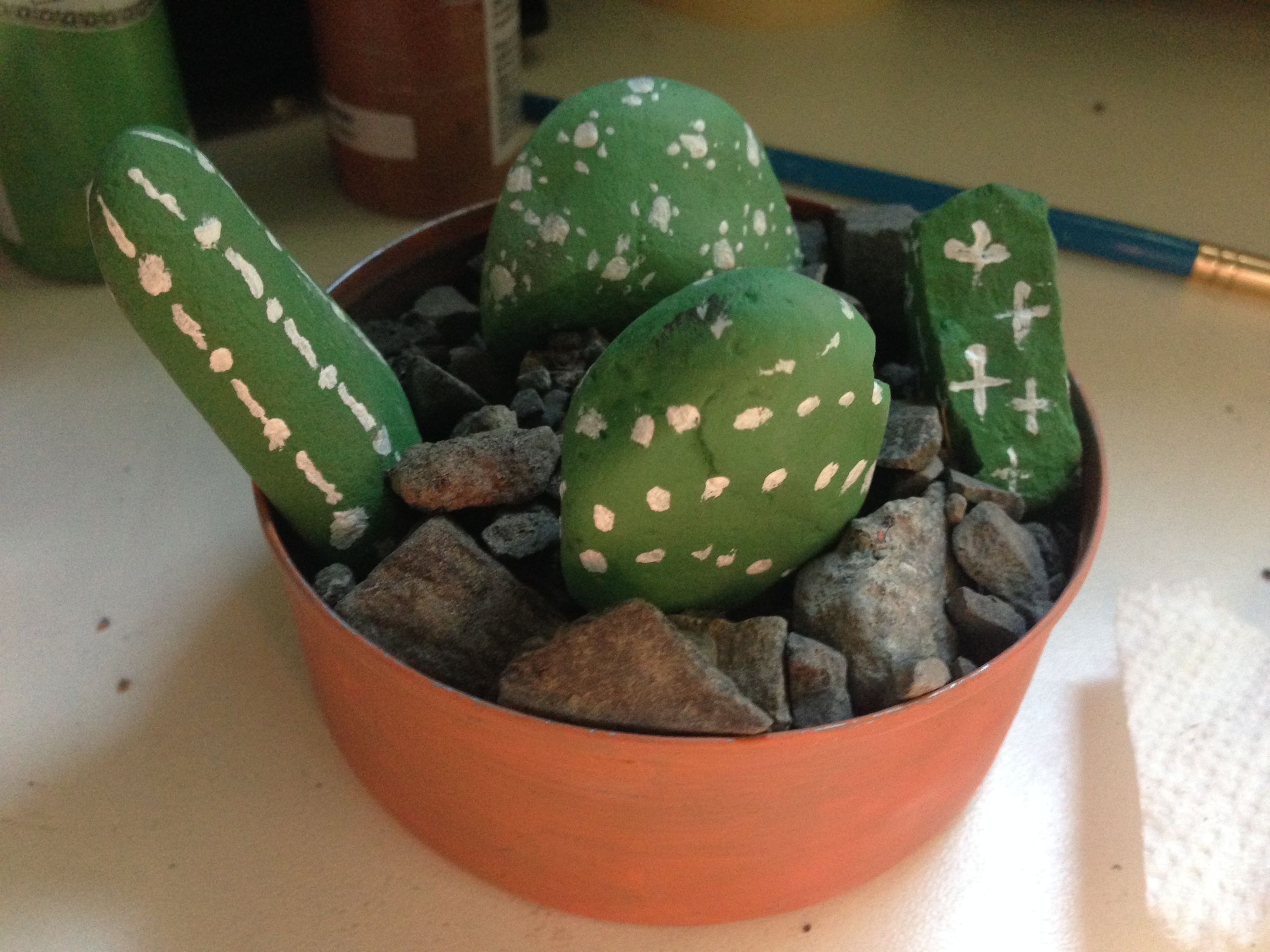 Mini Cactus Rock Garden : 6 Steps (with Pictures) - Instructables