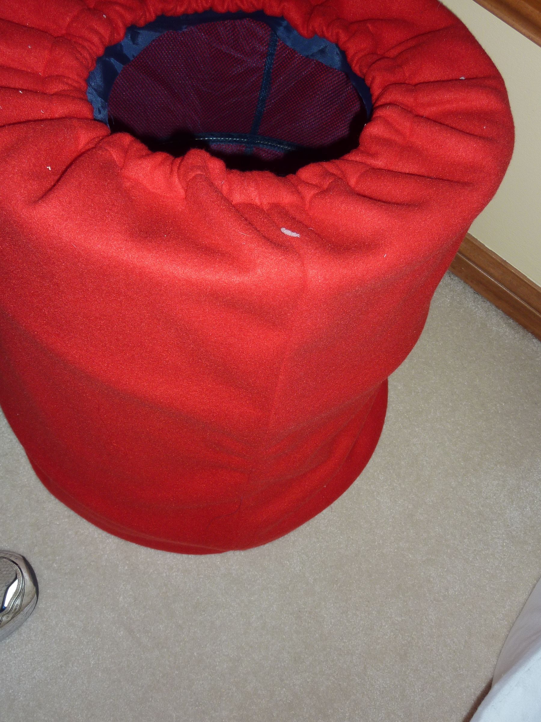 Homestar Runner Costume!! : 8 Steps (with Pictures) - Instructables