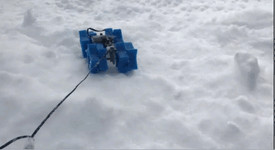 Amphibious Robots Using Pool Noodle Wheels : 4 Steps (with Pictures ...