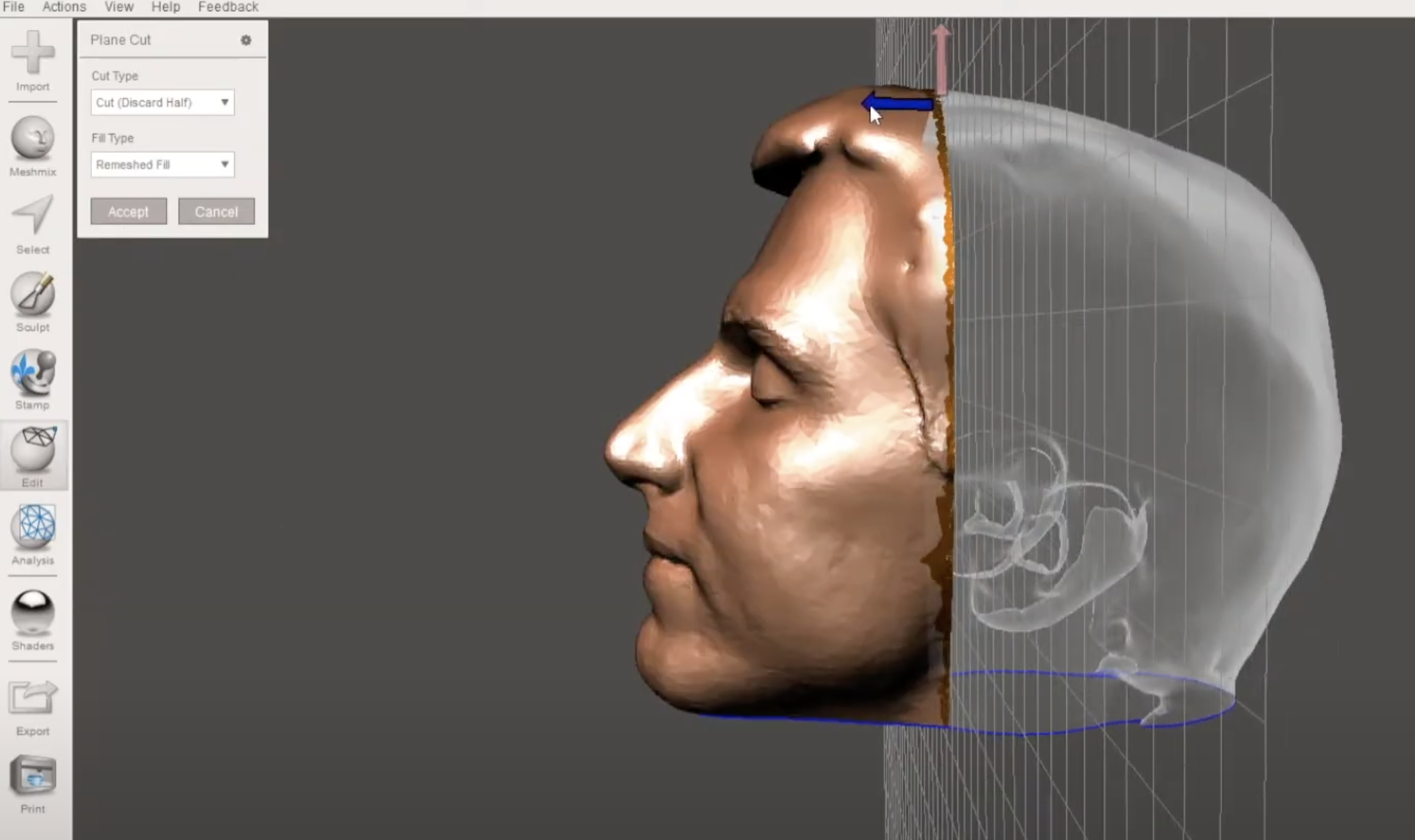 3D Printing a Mask of Your Own Face / 3D Printed Facemask : 5 Steps ...