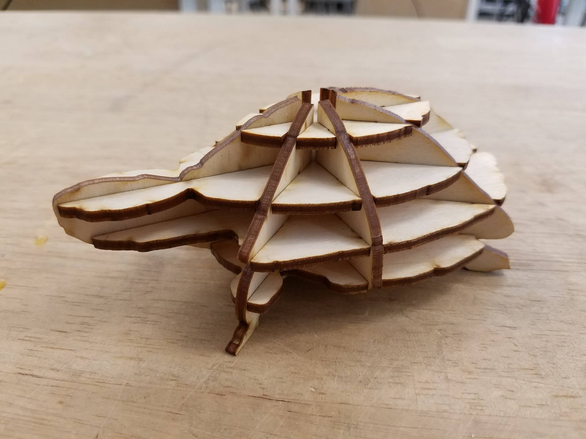 Laser Cut Turtle : 3 Steps (with Pictures) - Instructables