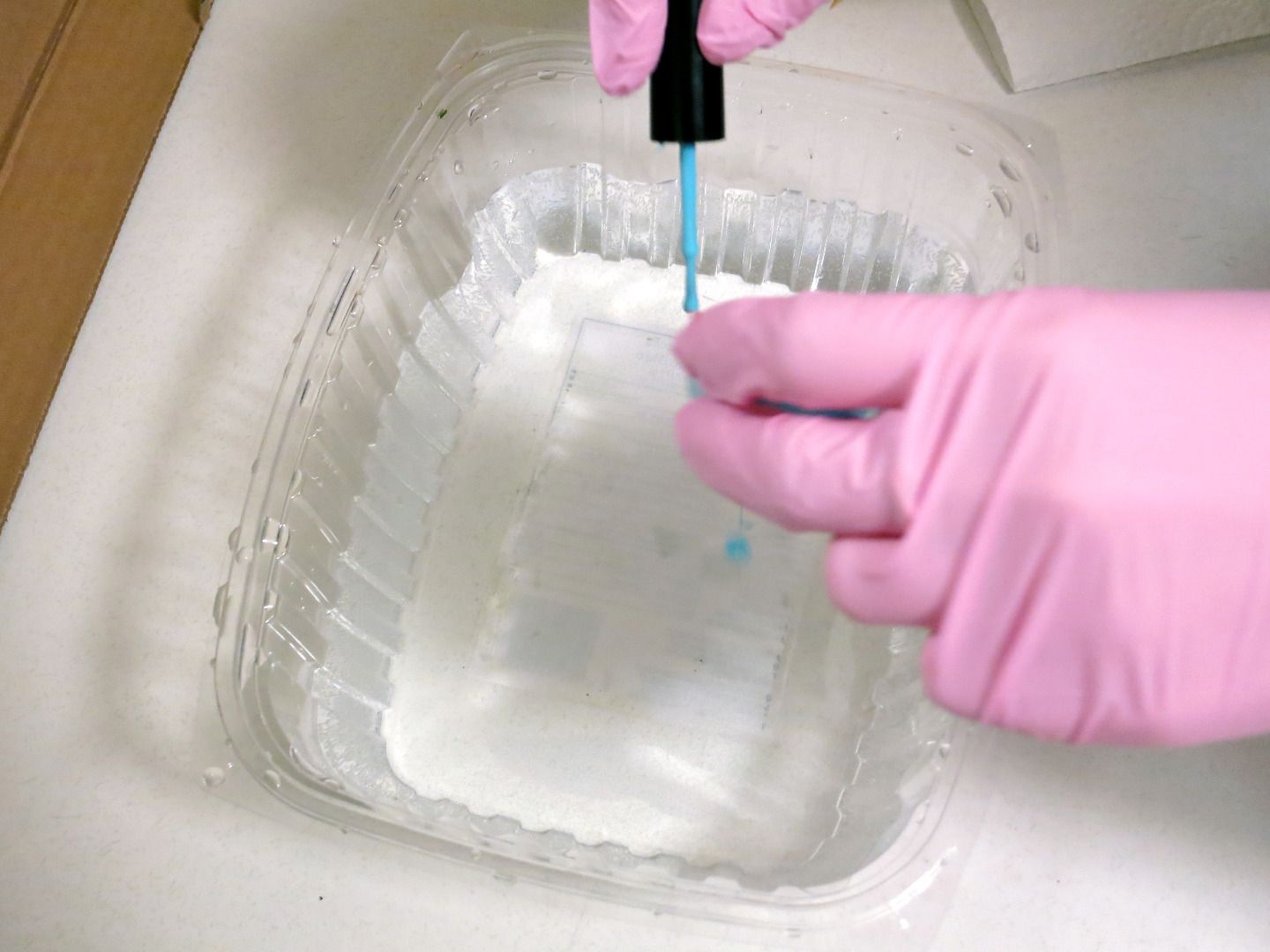 Nail Polish Marbled Flower Pots : 6 Steps (with Pictures) - Instructables