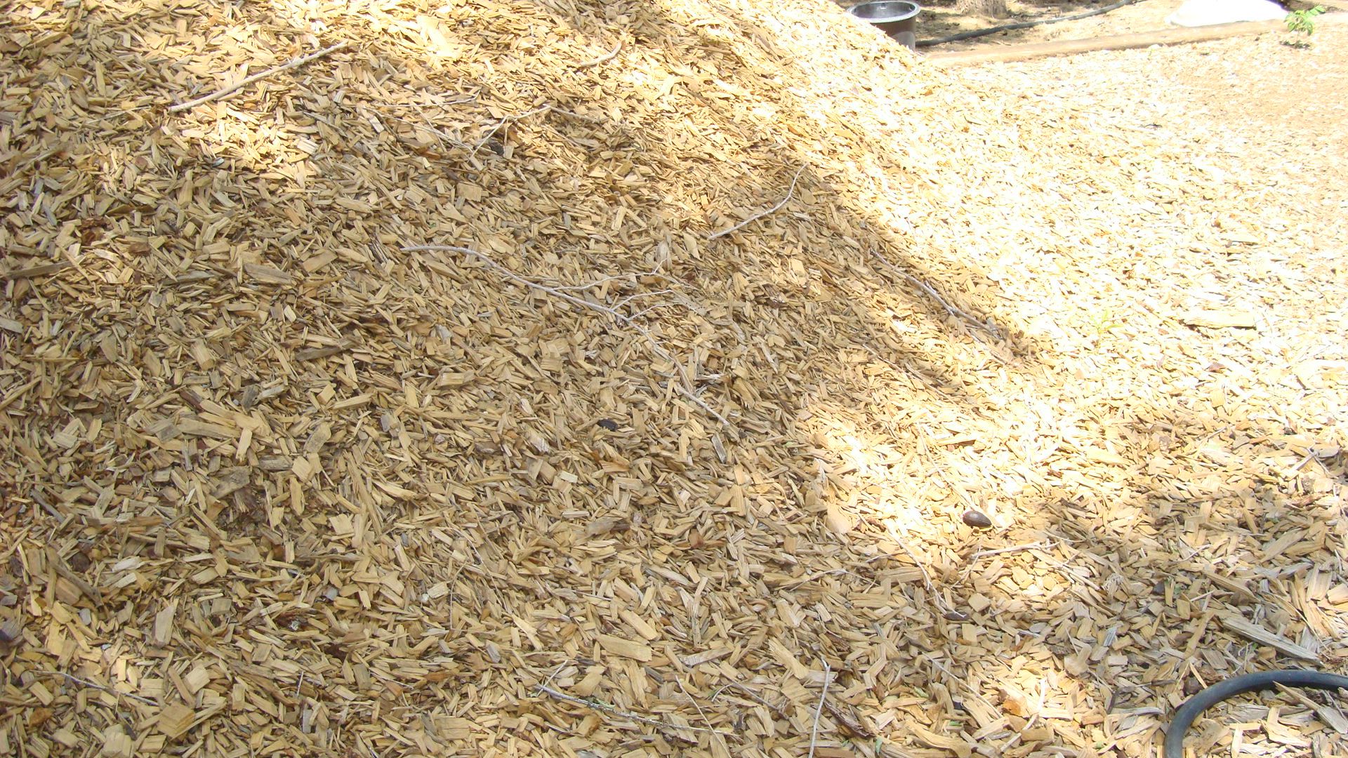 FREE NATURAL WOOD CHIPS FOR LANDSCAPING : 3 Steps - Instructables
