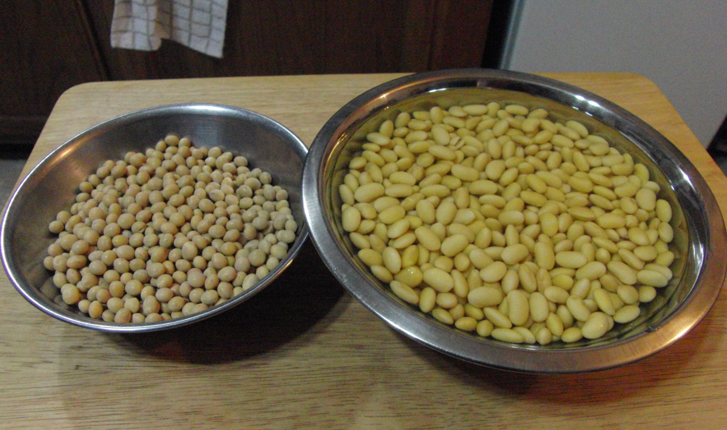 How to Make Homemade Soy Milk : 6 Steps (with Pictures) - Instructables