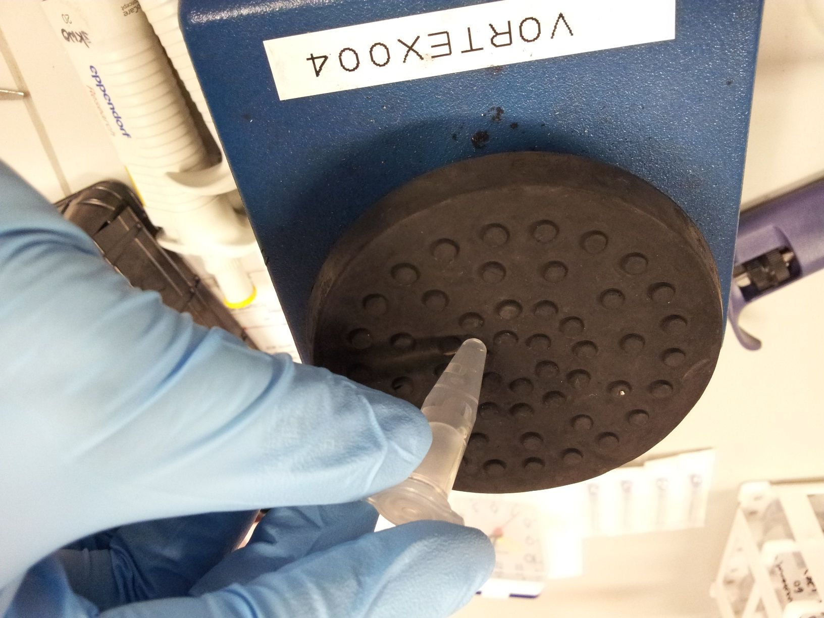 Evaluation for an APS/TEMED Aliquot in the SDS-PA Gel Protocol : 8 ...