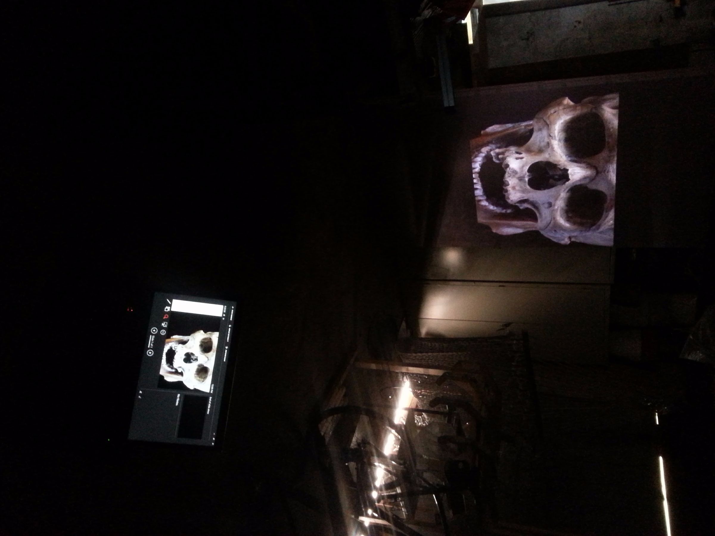 Giant Skeleton Halloween Decoration : 10 Steps (with Pictures ...