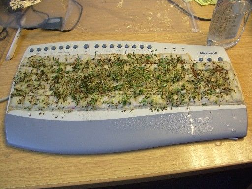 Green Keyboard : 6 Steps (with Pictures) - Instructables