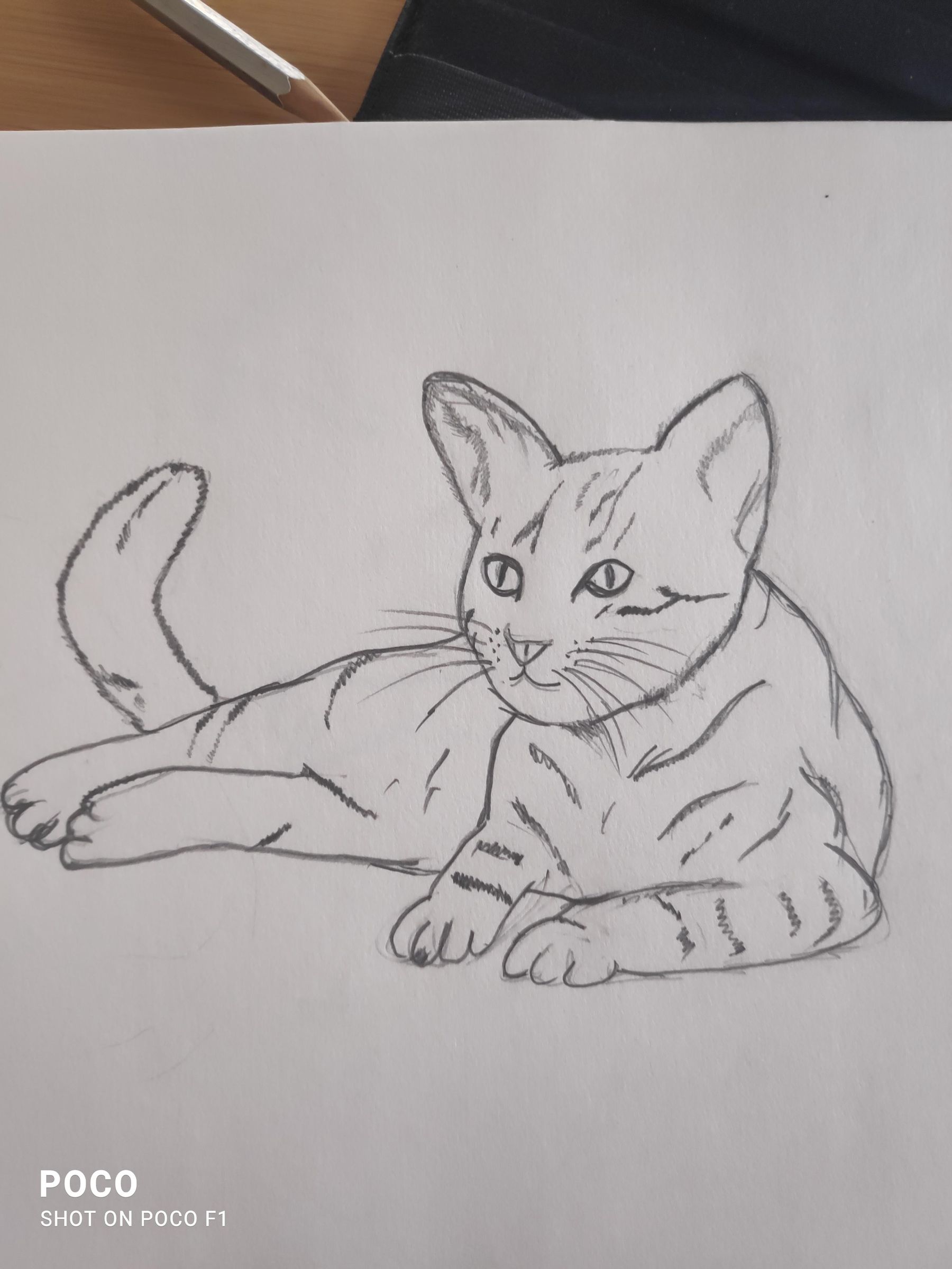 How to Draw a Cat : 9 Steps - Instructables