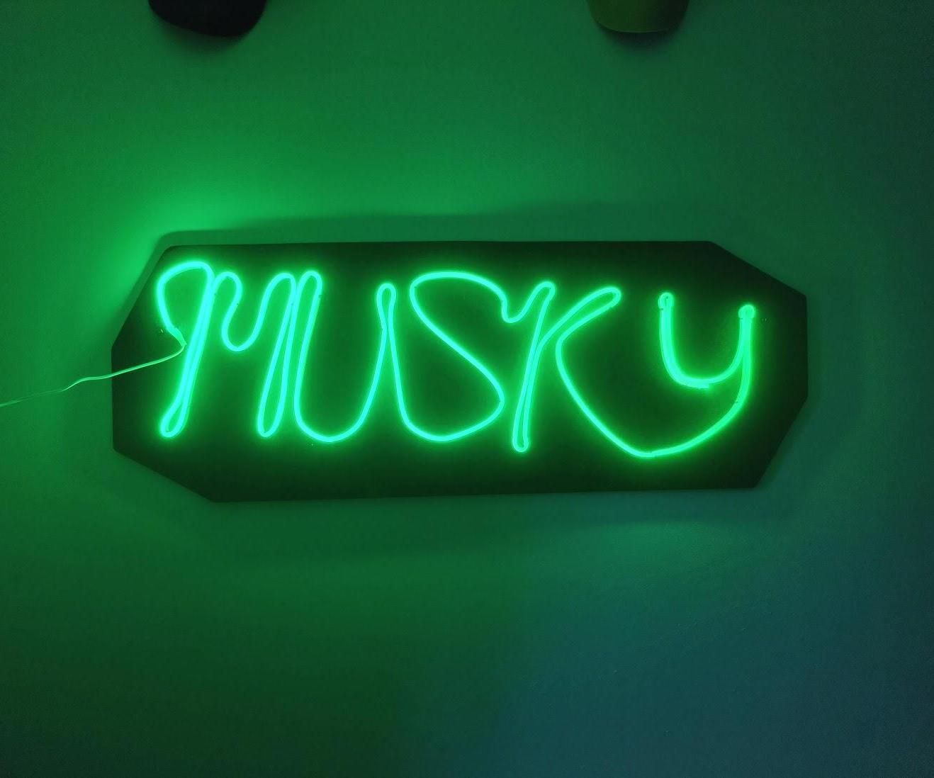 Neon Light : 4 Steps - Instructables