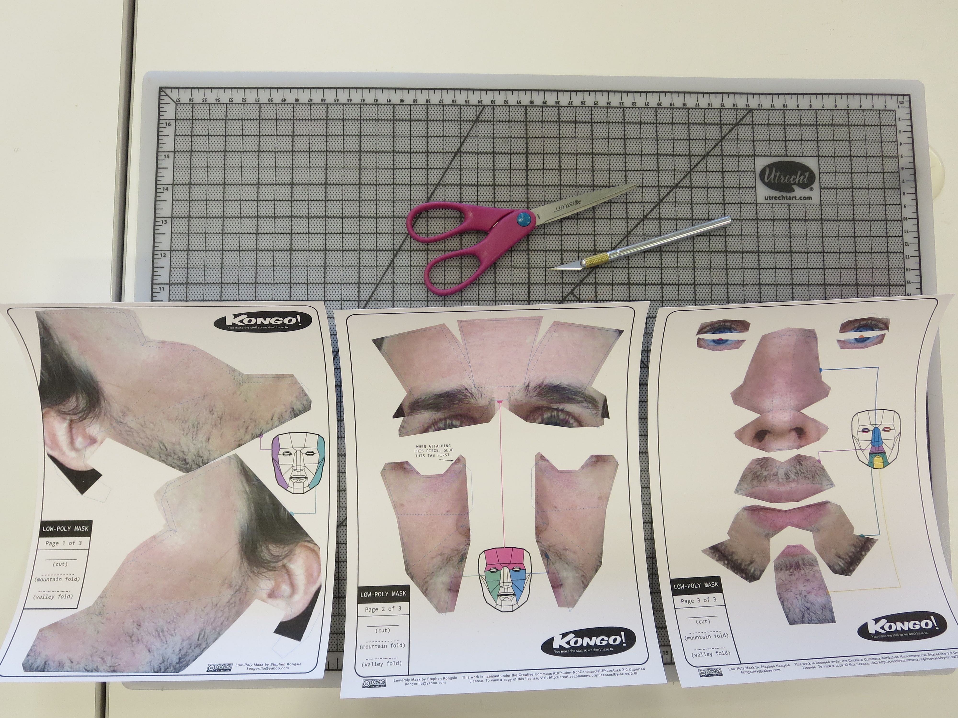 Paperfy Your Face (The Easy Method) : 10 Steps (with Pictures ...