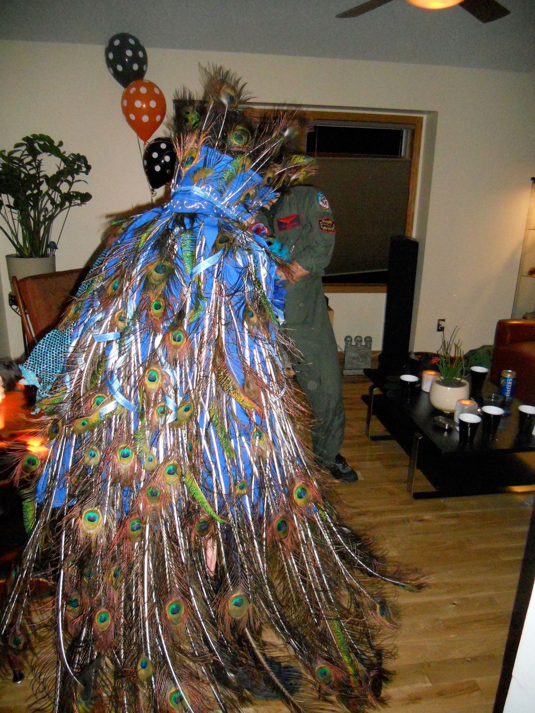 Peacock Costume : 7 Steps (with Pictures) - Instructables