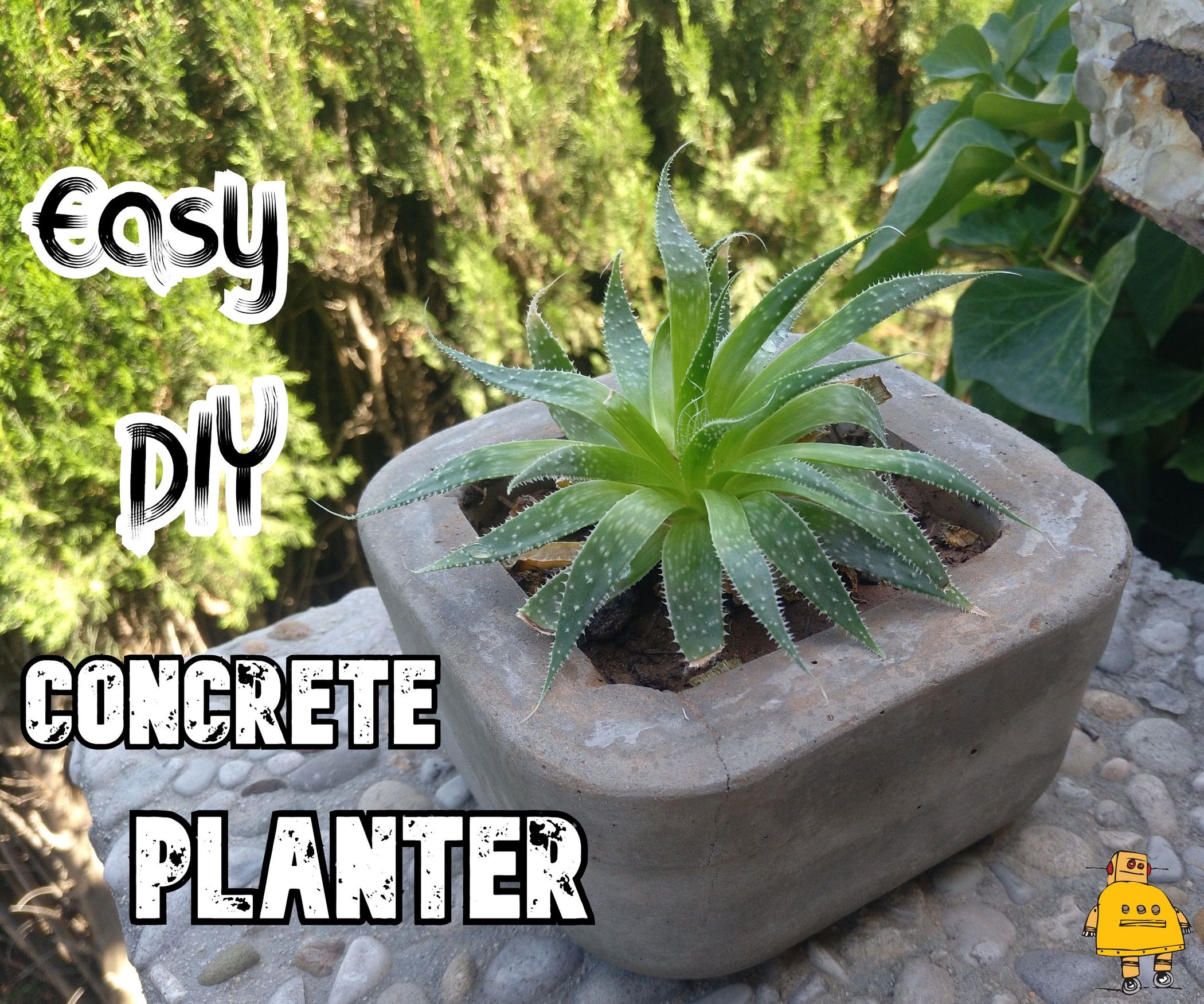 Easy DIY Concrete Planter : 7 Steps (with Pictures) - Instructables