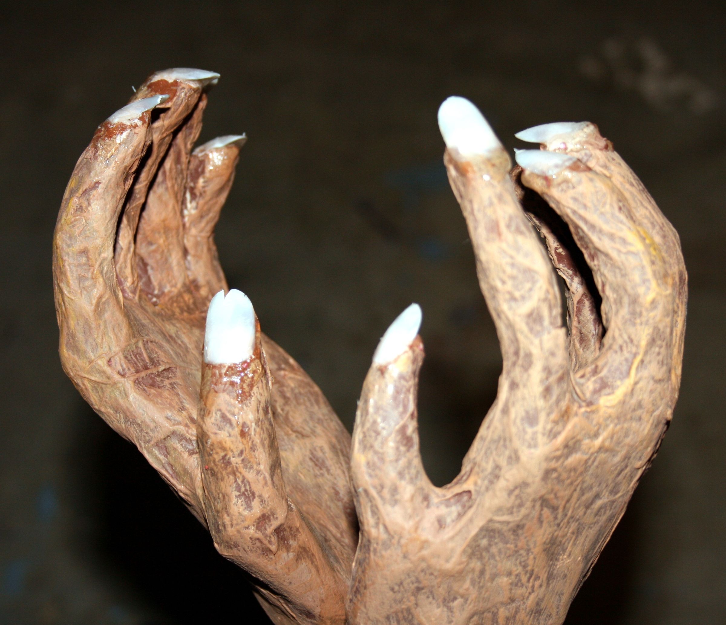 Corpse Hands : 11 Steps (with Pictures) - Instructables