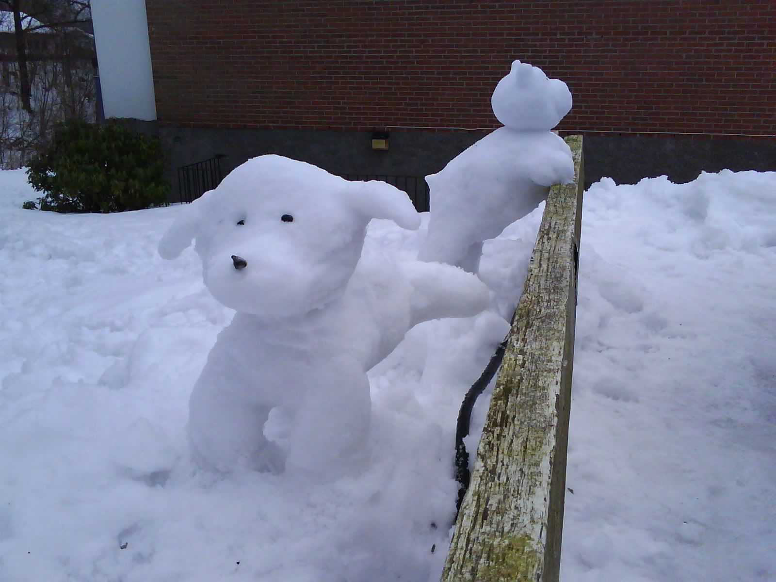 Snow Dogs : 3 Steps - Instructables