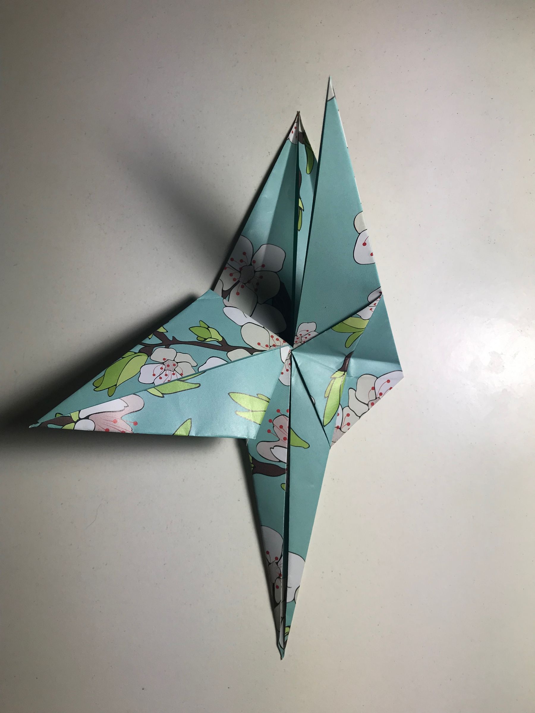 Origami Dragonfly : 14 Steps - Instructables