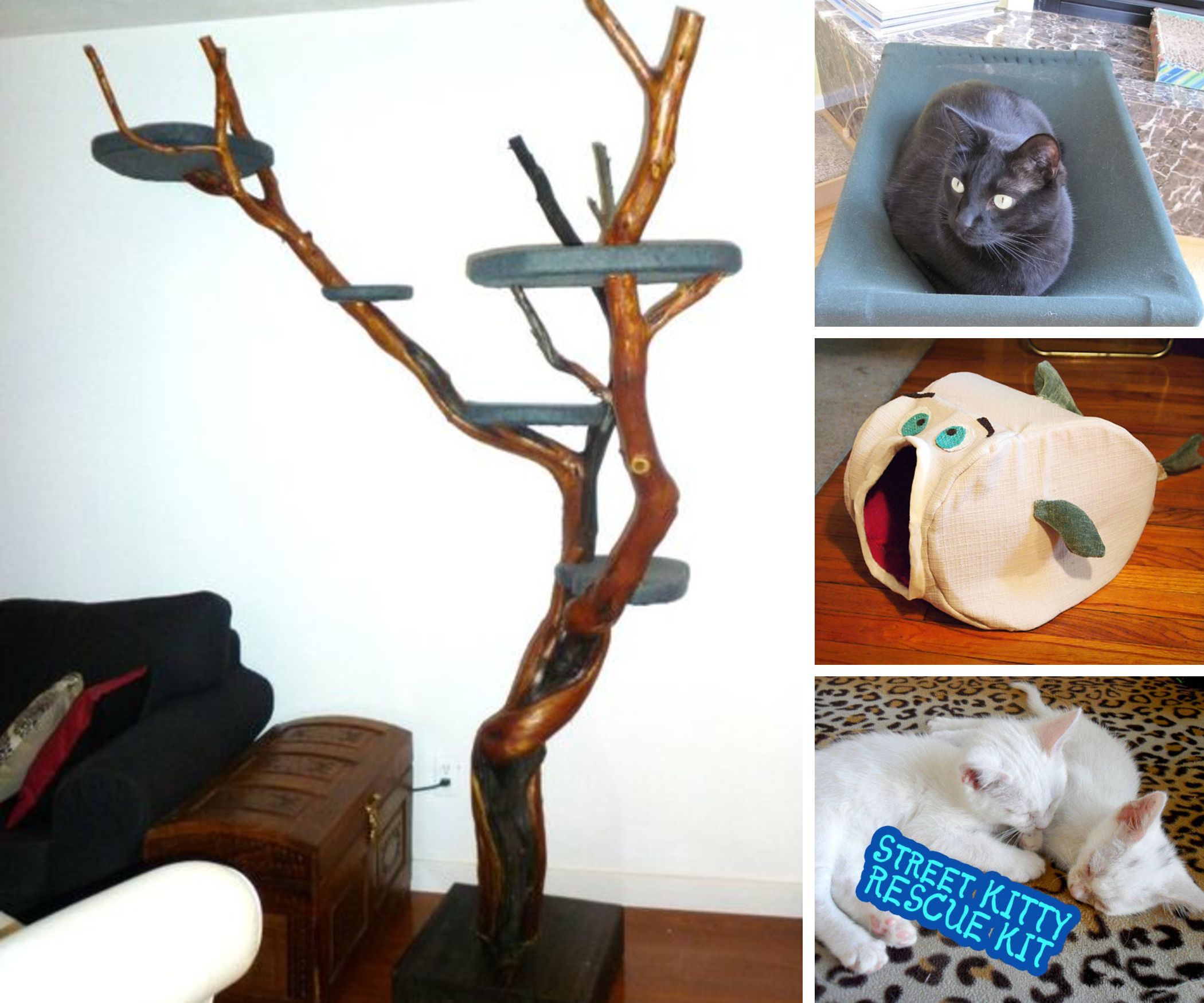 Cats Love You - Instructables