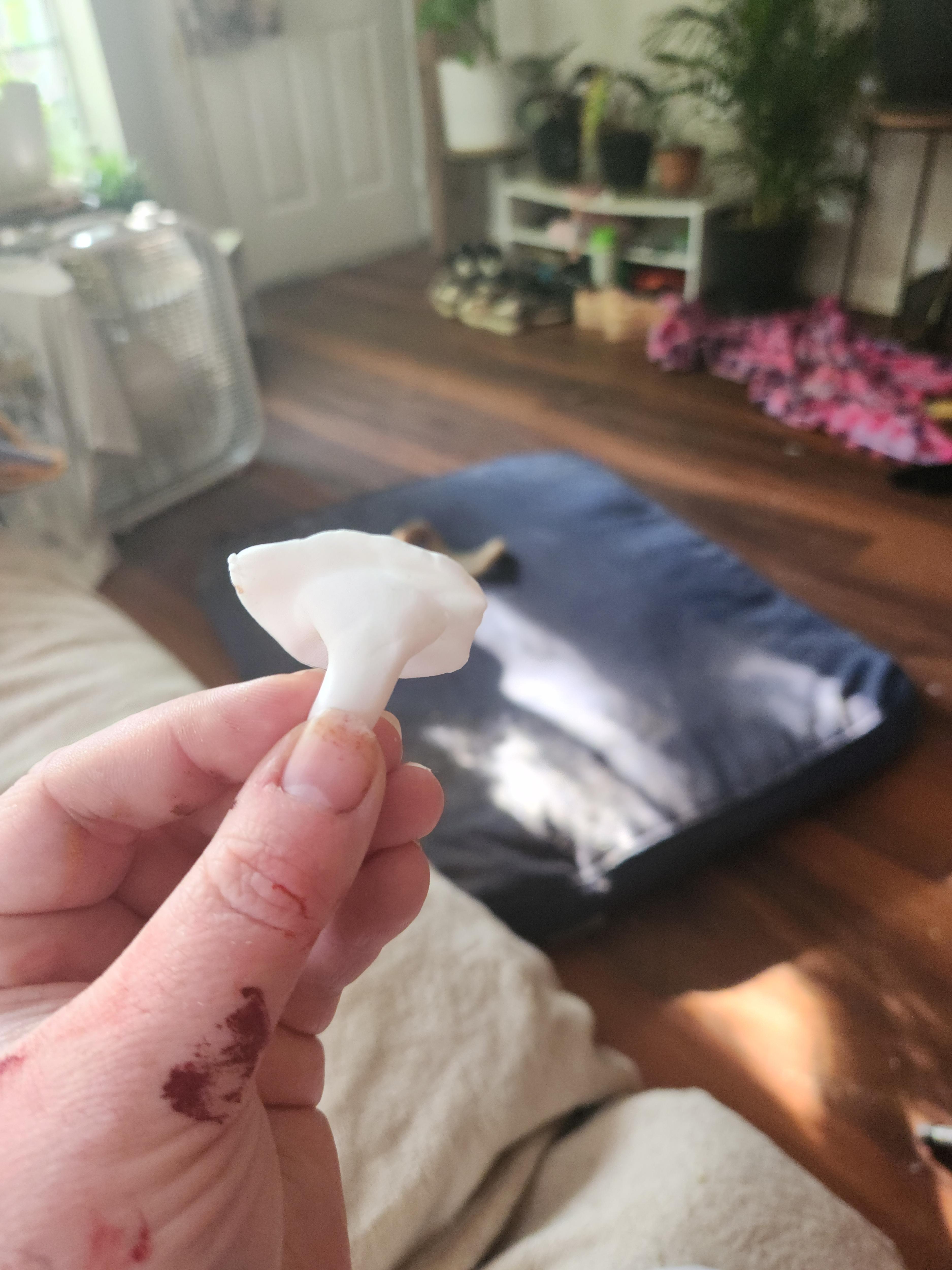 The Last of Us Clicker Mask : 13 Steps (with Pictures) - Instructables