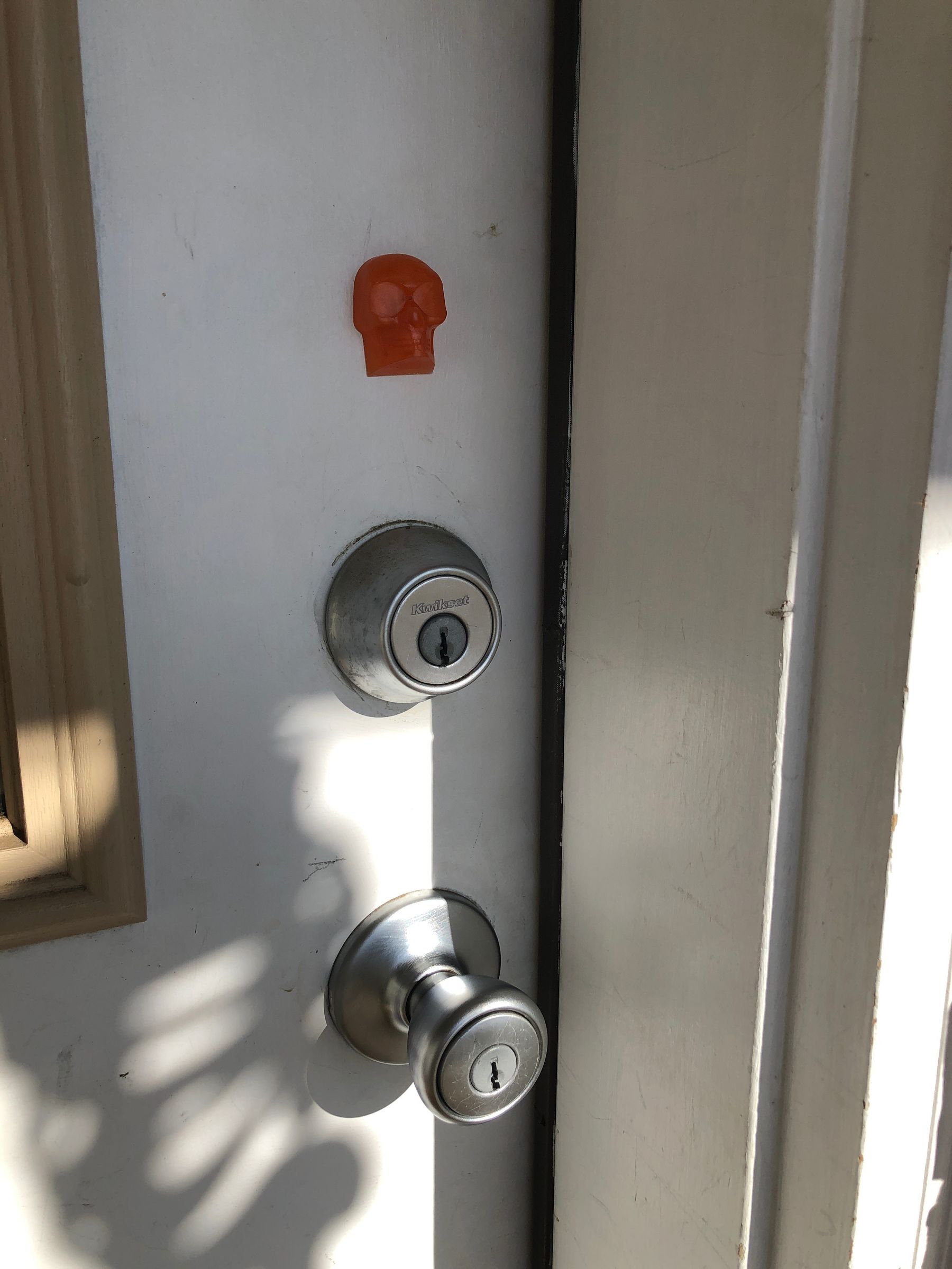 Easy Epoxy Skulls! : 6 Steps (with Pictures) - Instructables