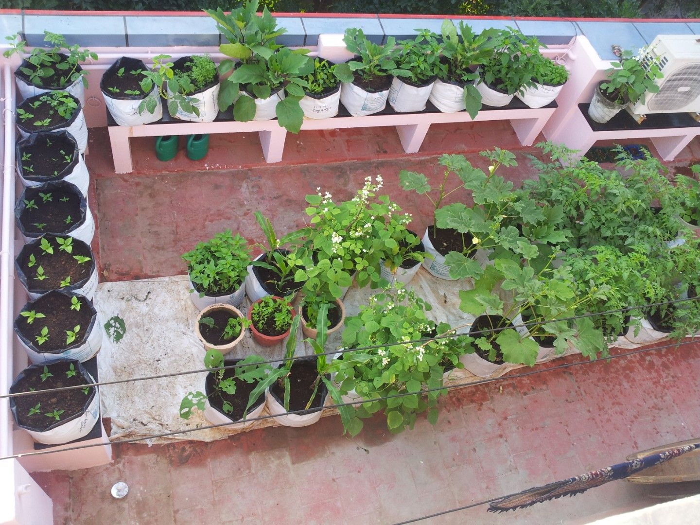 Roof Gardening : 21 Steps (with Pictures) - Instructables