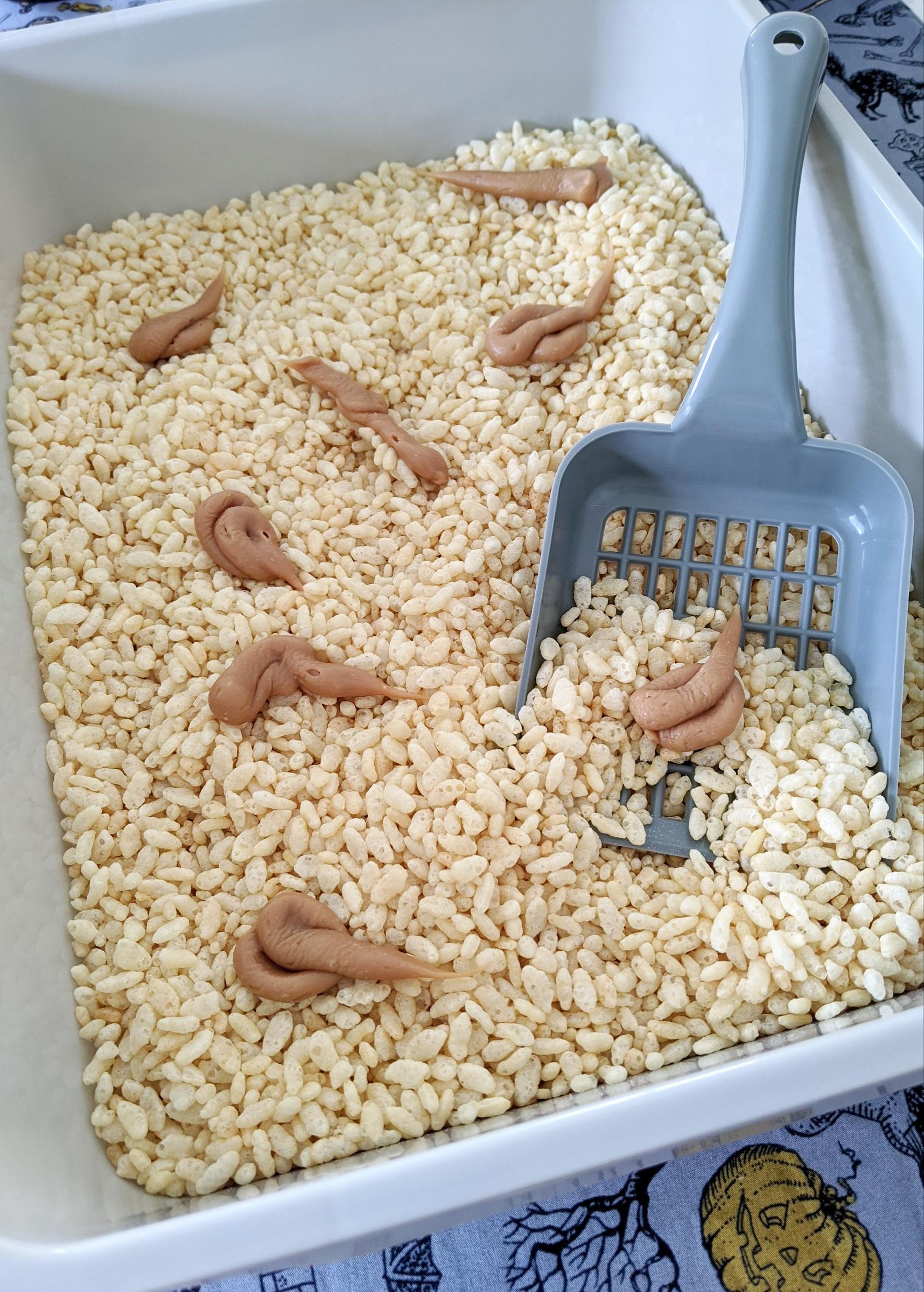 Easy Litter Tray Fudge! : 6 Steps (with Pictures) - Instructables