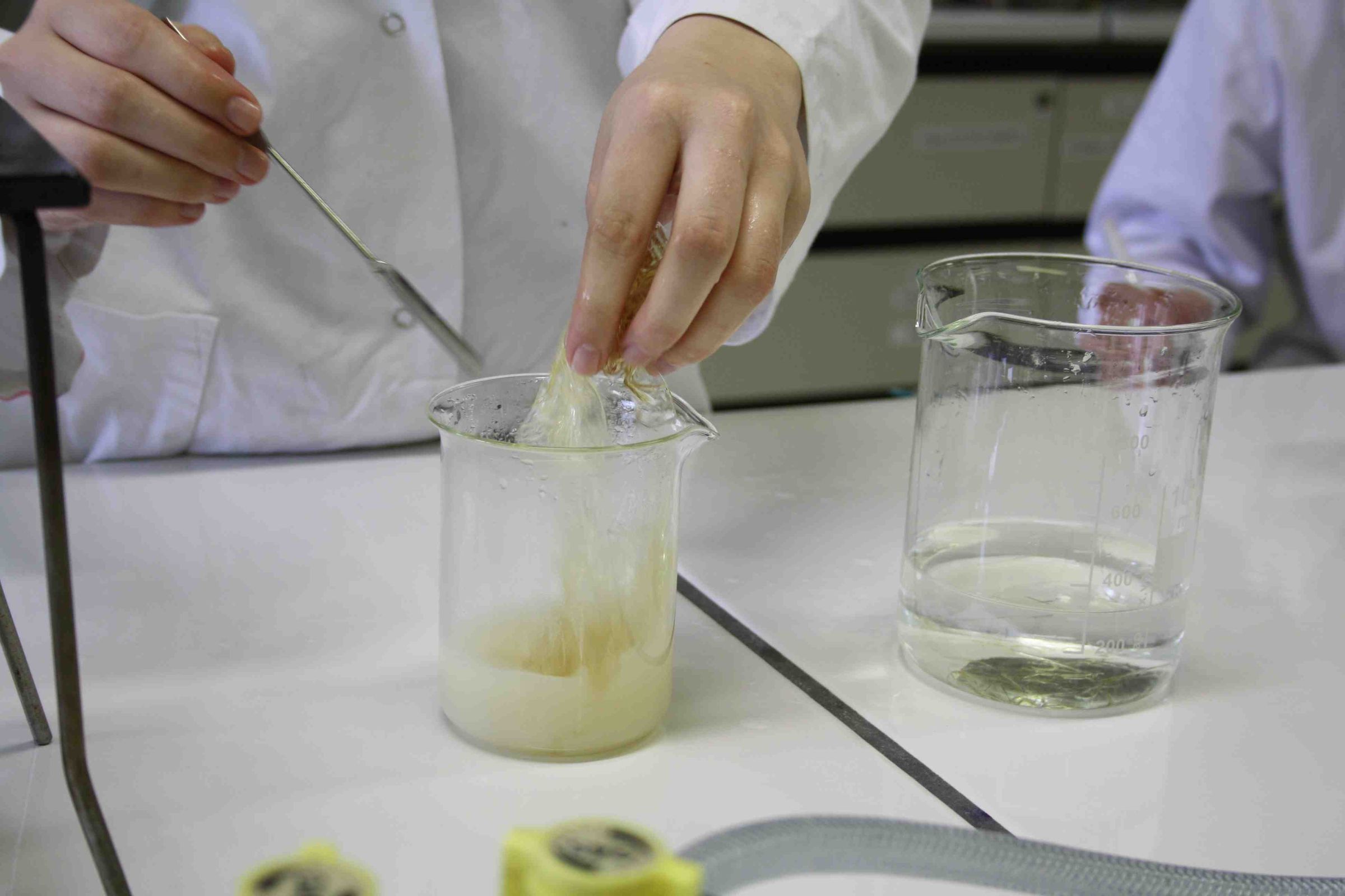 Cook Your Own Microbial Growth Plates : 8 Steps (with Pictures ...