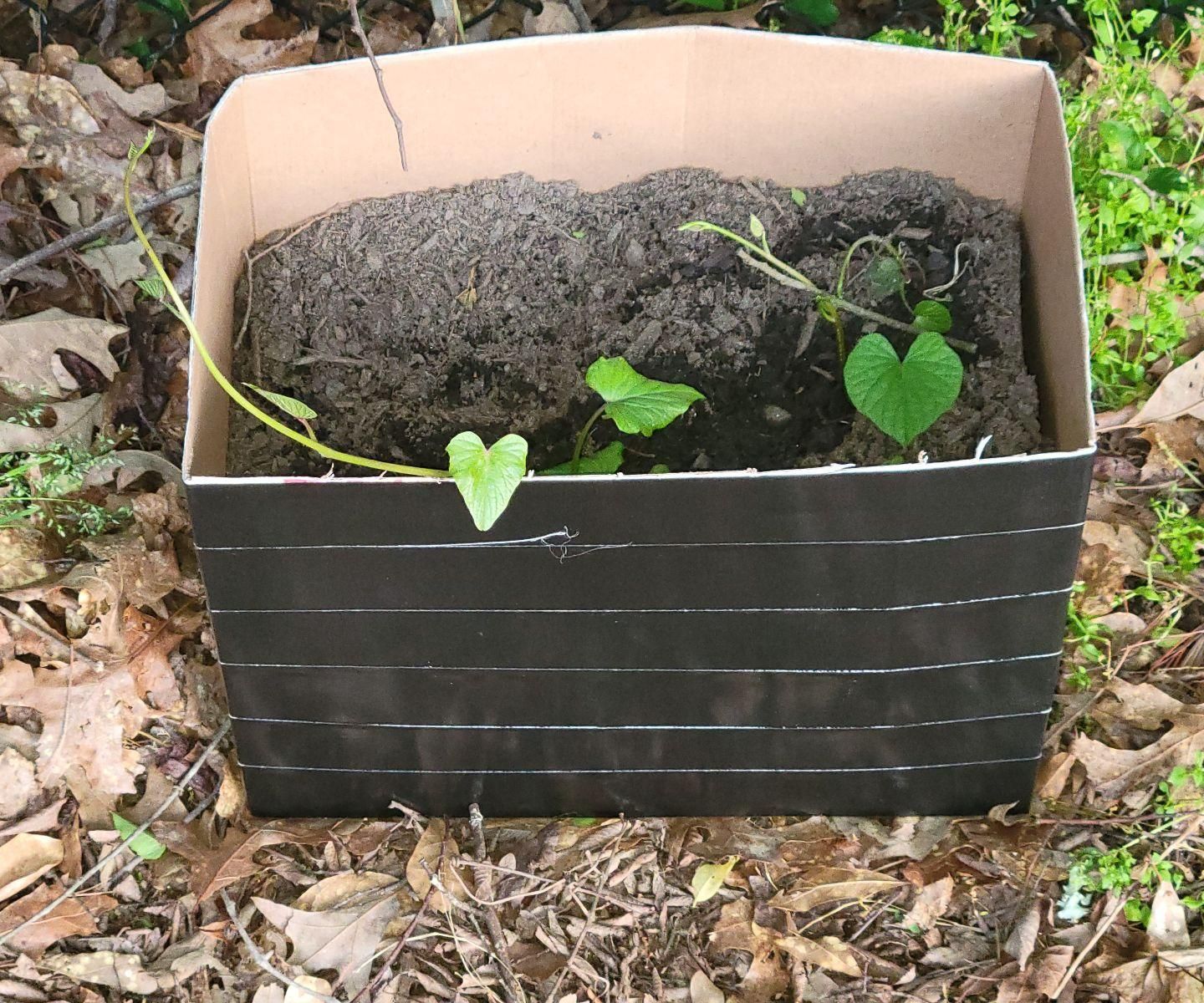 Upcycled Duct Tape Cardboard Planter : 3 Steps - Instructables