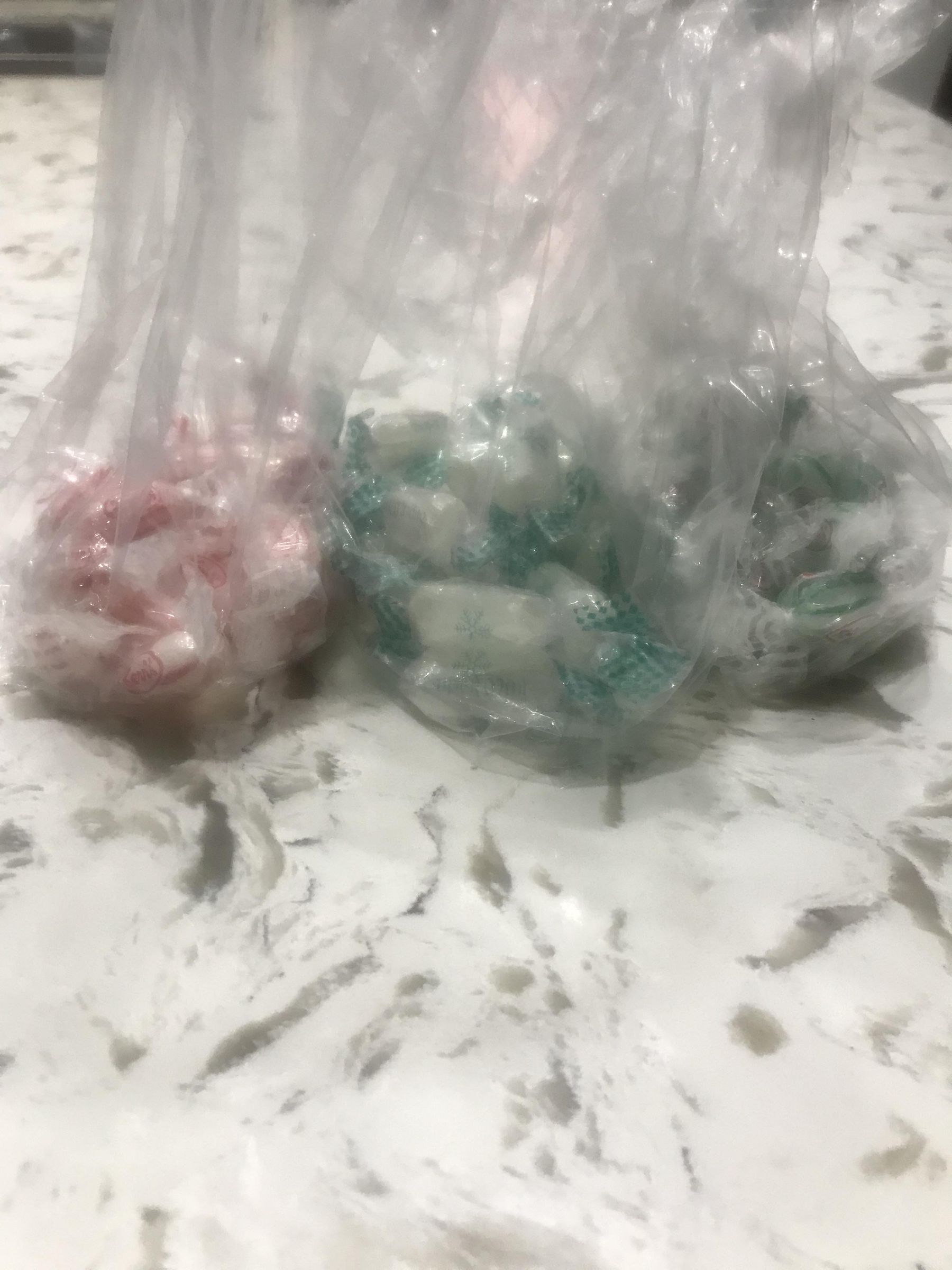 Marine Ecosystem Model With Candy! : 30 Steps - Instructables