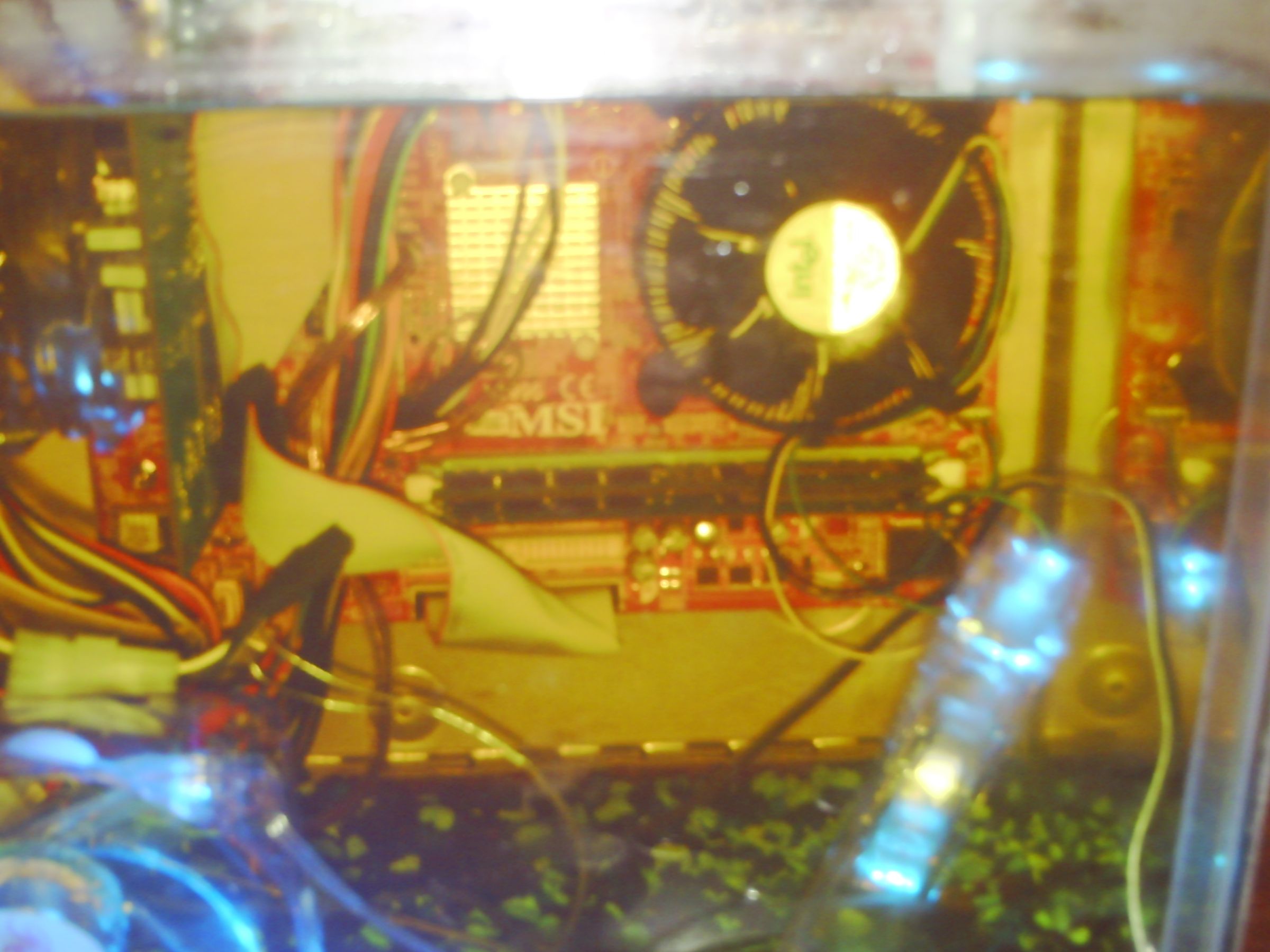Oil Submerged Fish Tank Pc - Instructables