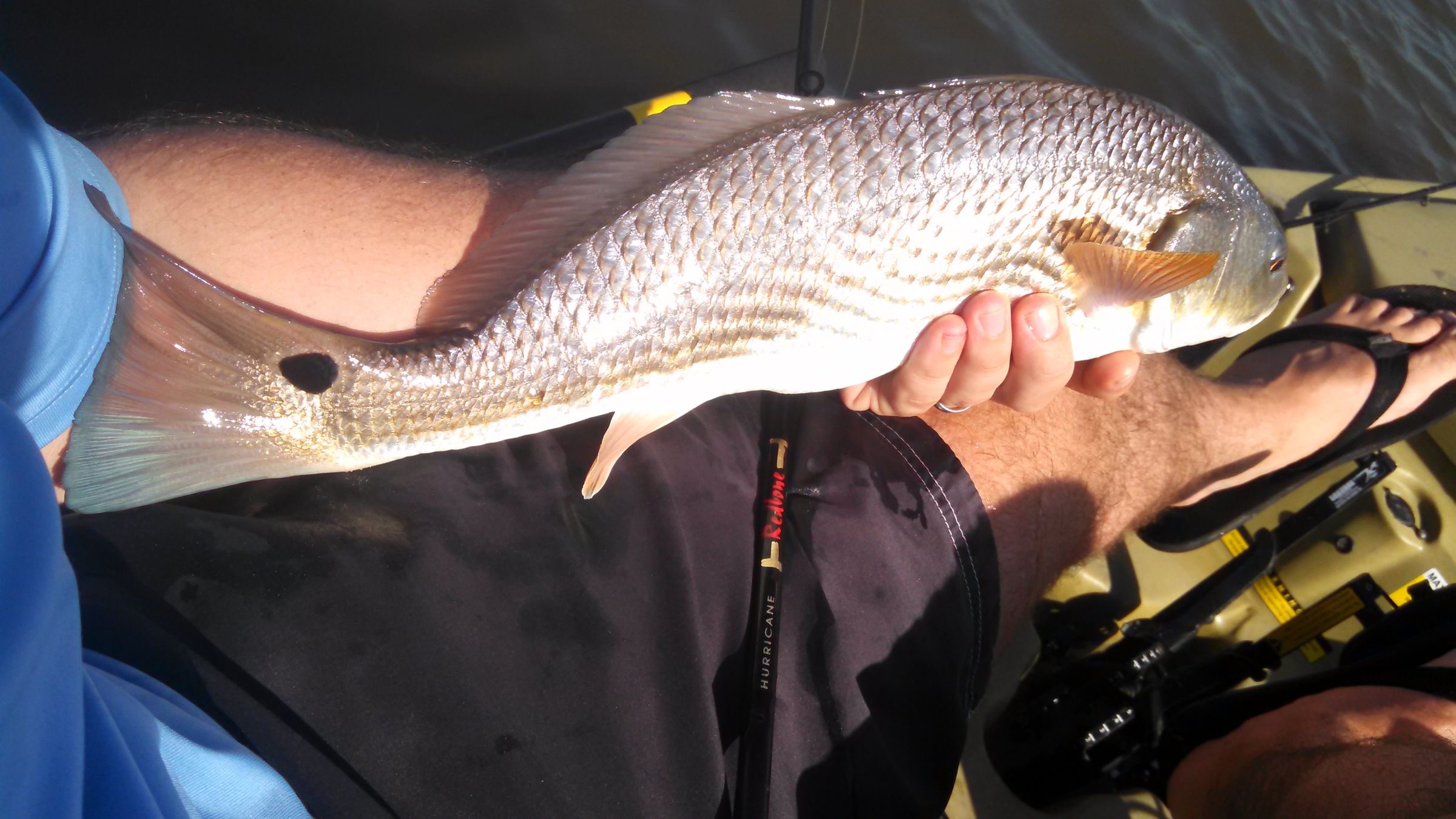 How to Catch, Clean and Cook Northern Florida Inshore Fish : 11 Steps ...