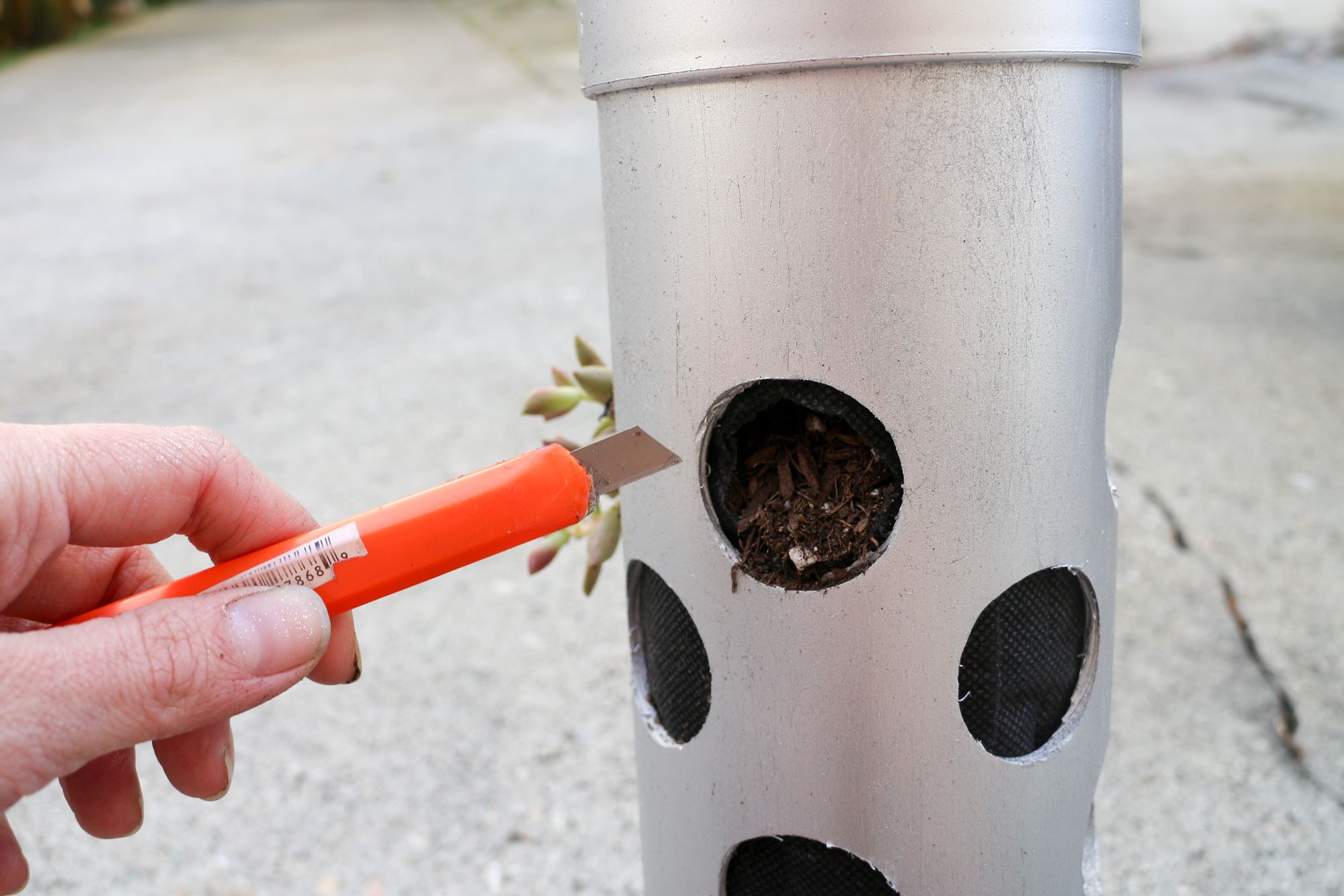 Vertical Gardening Pipe : 11 Steps (with Pictures) - Instructables