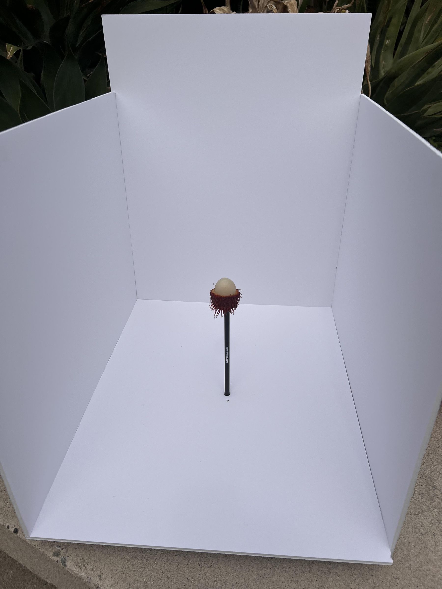 Rambutan Inspired 3D Print - Agilus Material : 5 Steps - Instructables